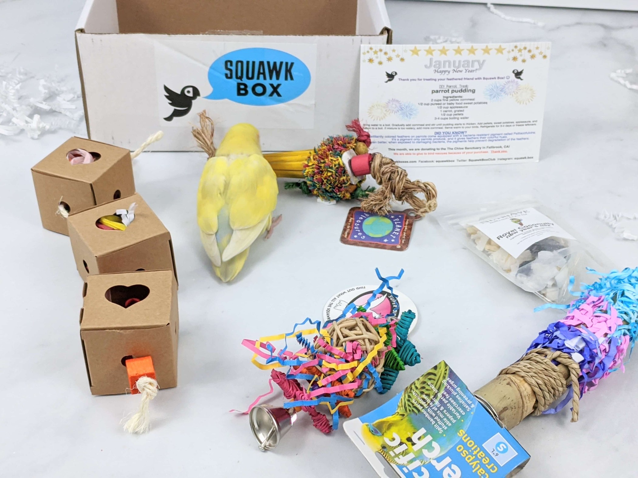 Squawk Box January 2020 Subscription Review - Hello Subscription