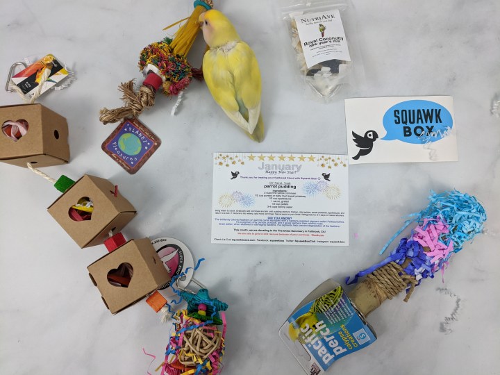 Squawk Box January 2020 Subscription Review - hello subscription