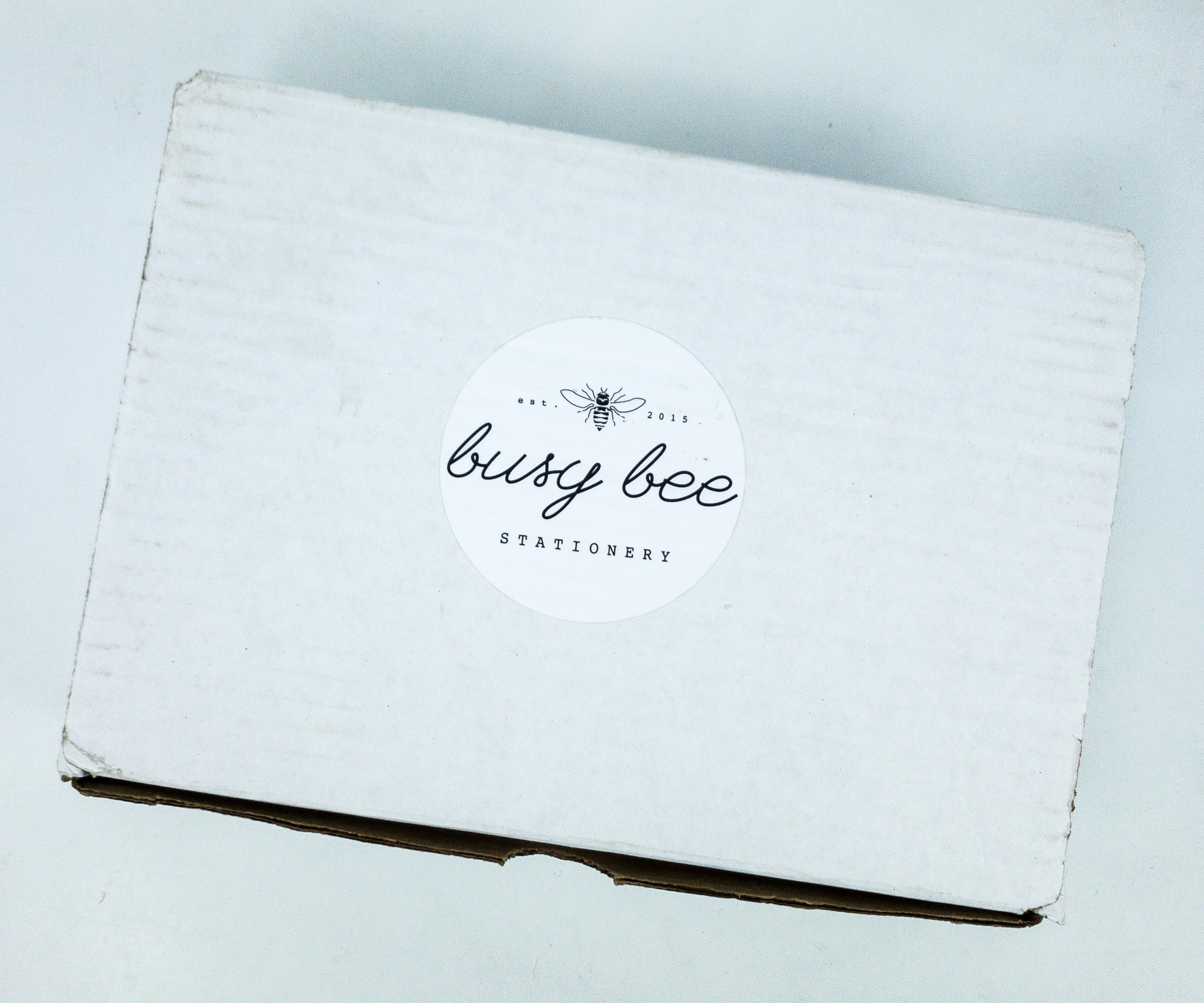 Busy Bee Stationery January 2020 Subscription Box Review - Hello ...