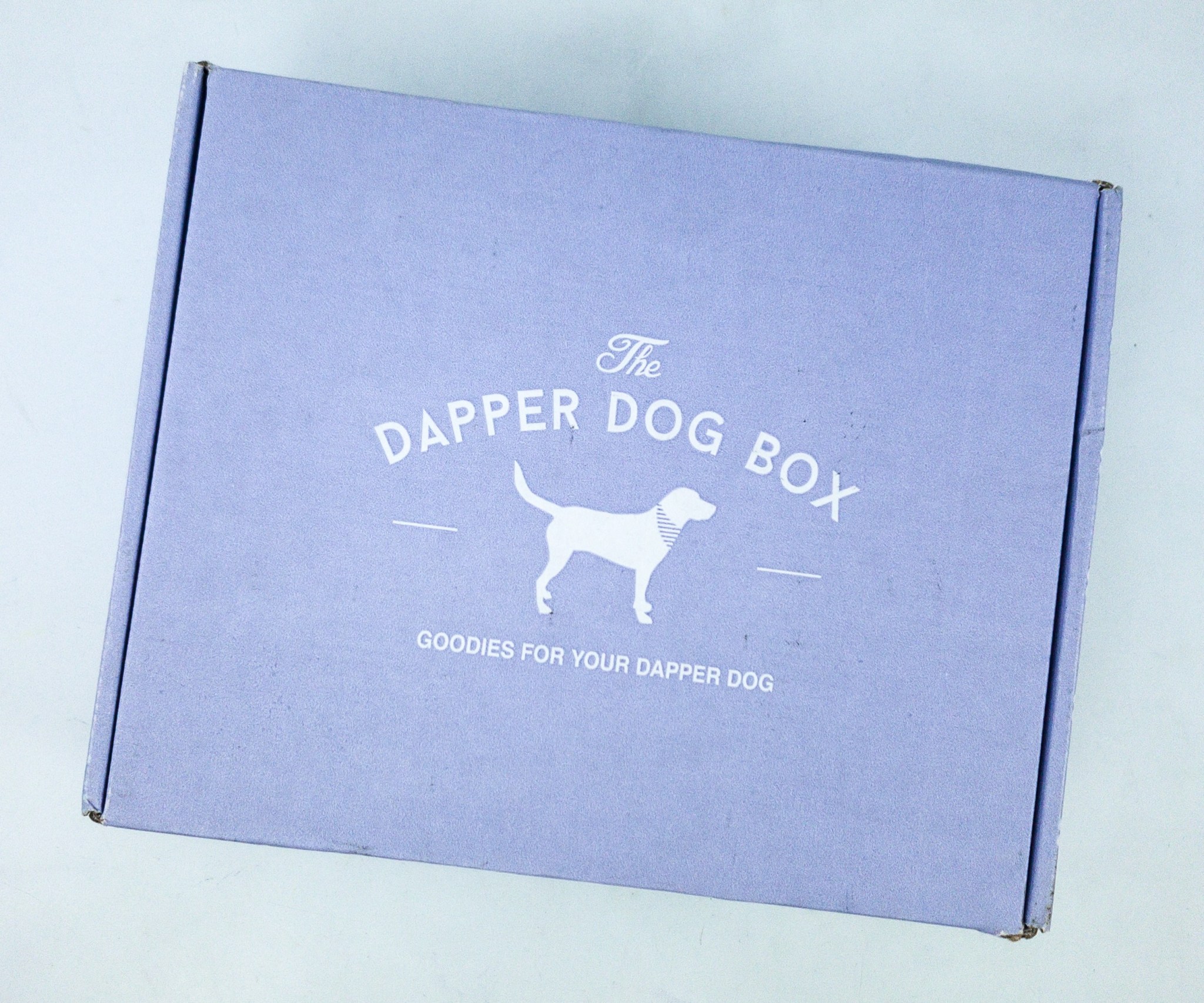 The Dapper Dog Box January 2020 Subscription Box Review + Coupon - Hello Subscription