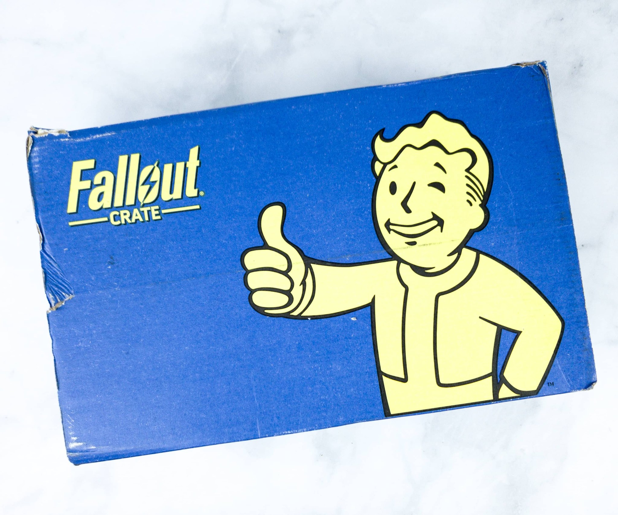 Loot Crate Fallout Crate December 2019 Review + Coupon - Hello Subscription