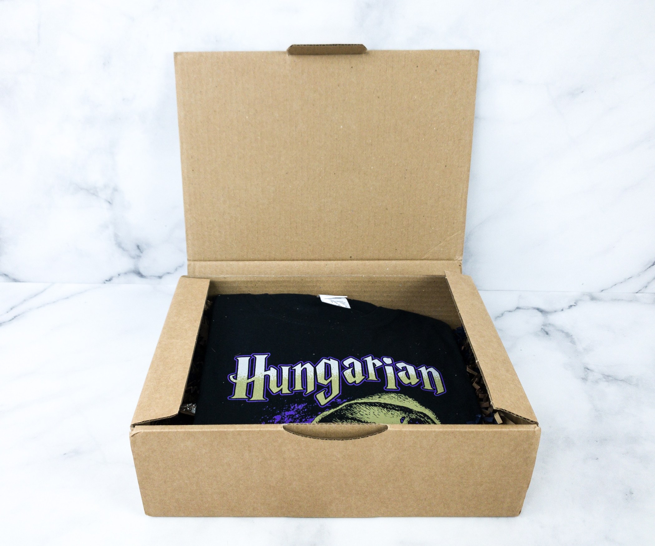 Geek Gear World of Wizardry January 2020 Subscription Box Review ...