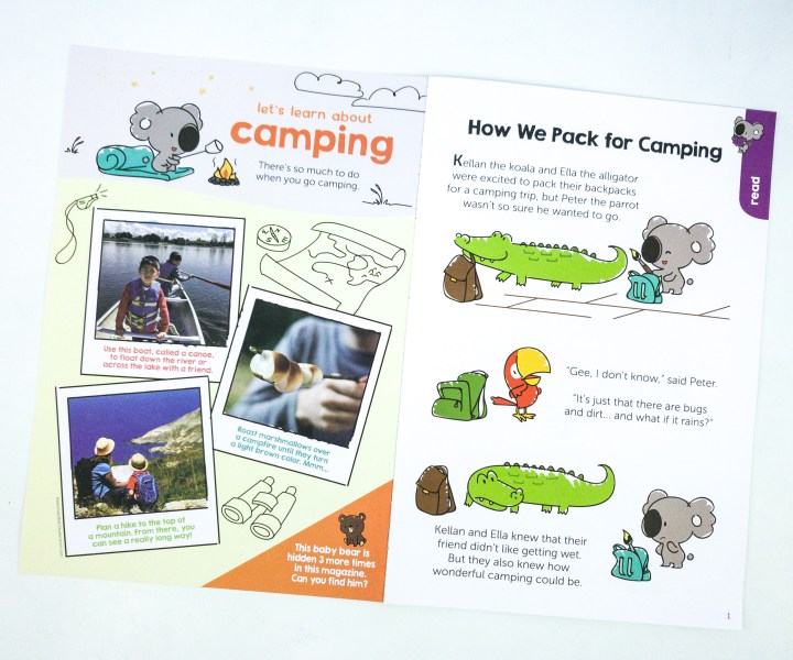 KiwiCo Koala Crate CAMPING Subscription Box Review & Coupon - Hello ...