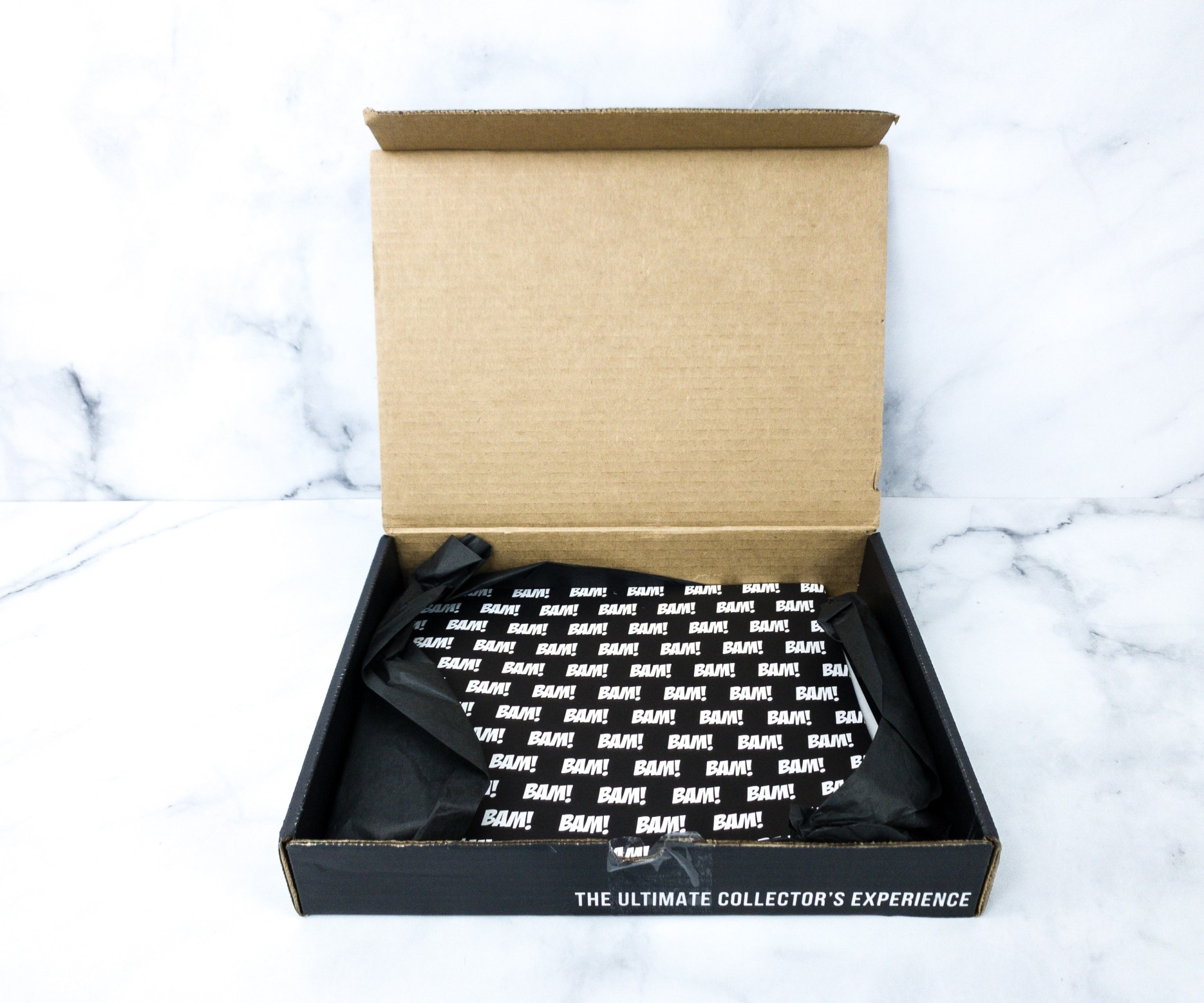 The BAM! POP CULTURE BOX January 2020 Subscription Box Review - Box #1 ...