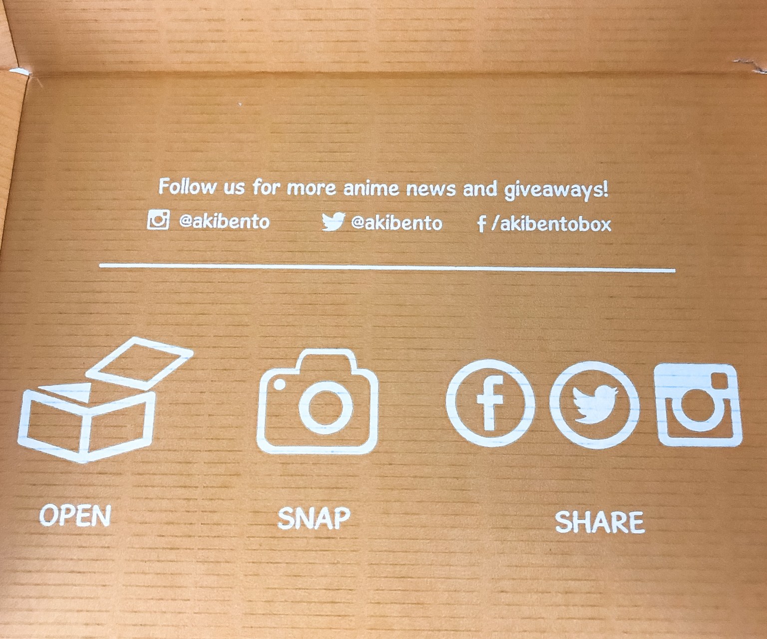 Akibento October 2019 Subscription Box Review & Coupon - Hello Subscription