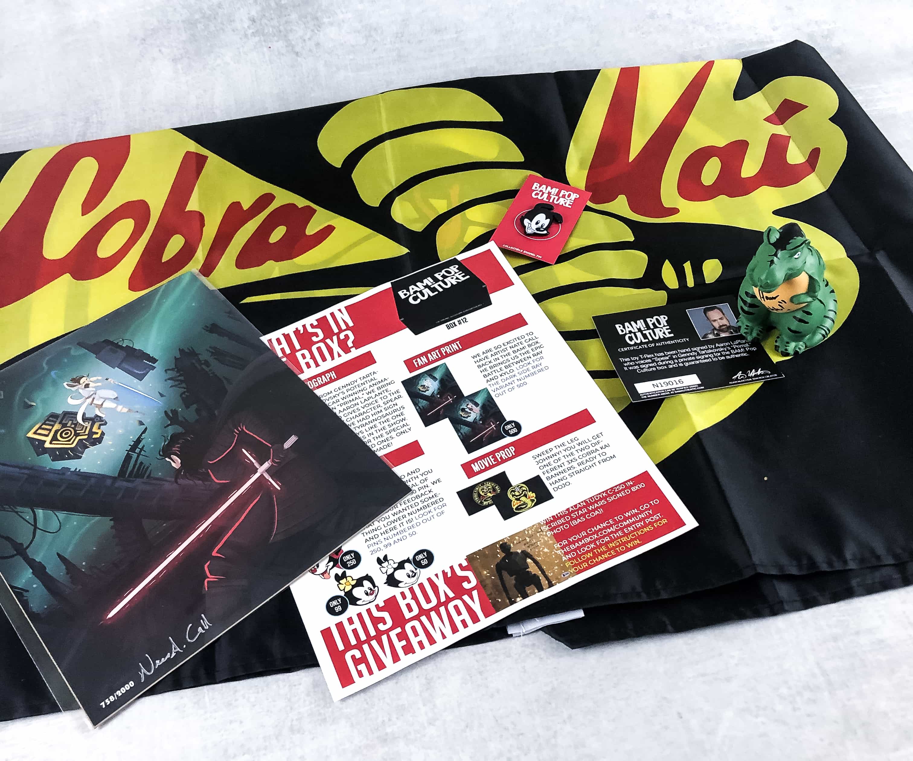 The BAM! POP CULTURE BOX November 2019 Subscription Box Review & Coupon ...