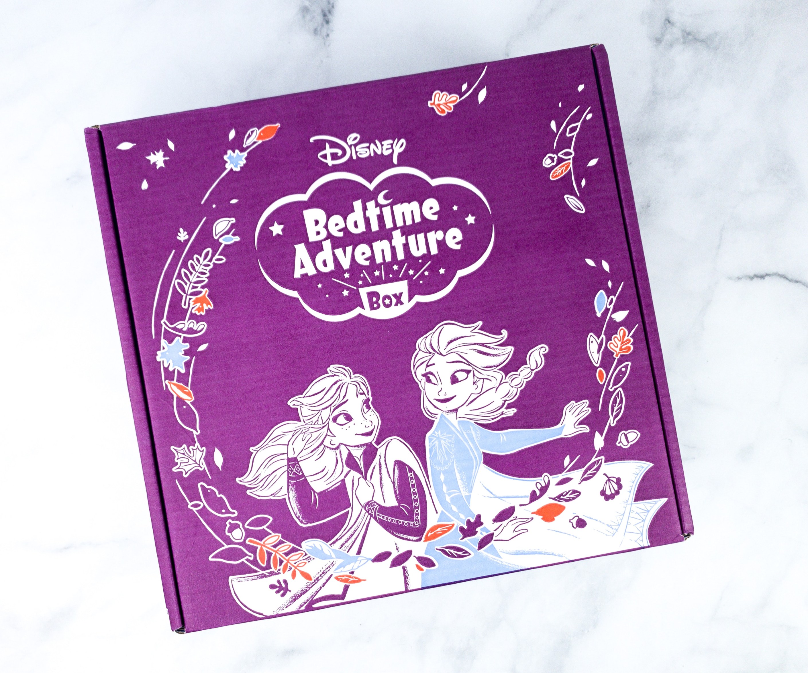 Disney Bedtime Adventure Subscription Box Review - February 2020 ...