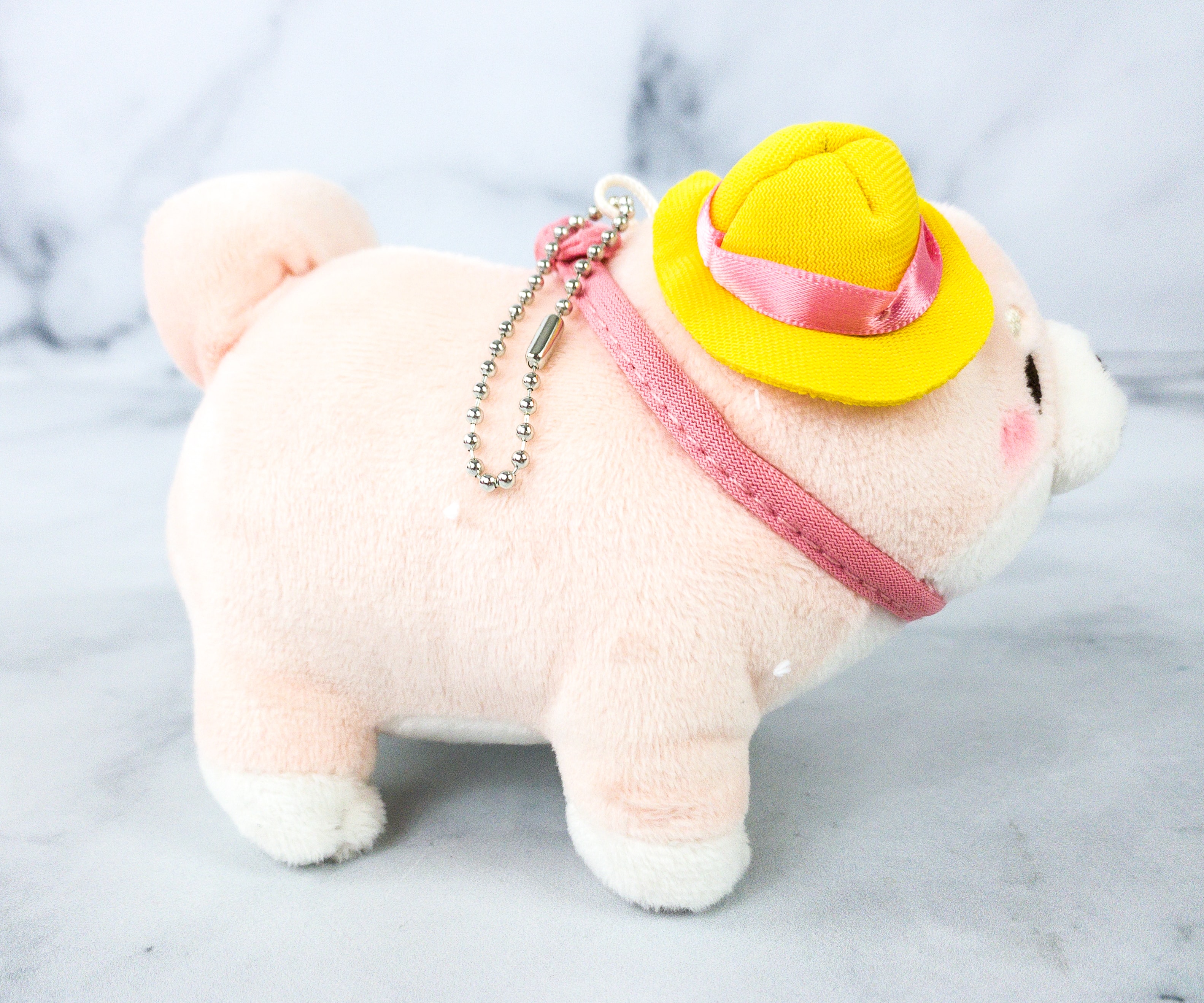 Doki Doki March 2020 Subscription Box Review & Coupon - hello subscription