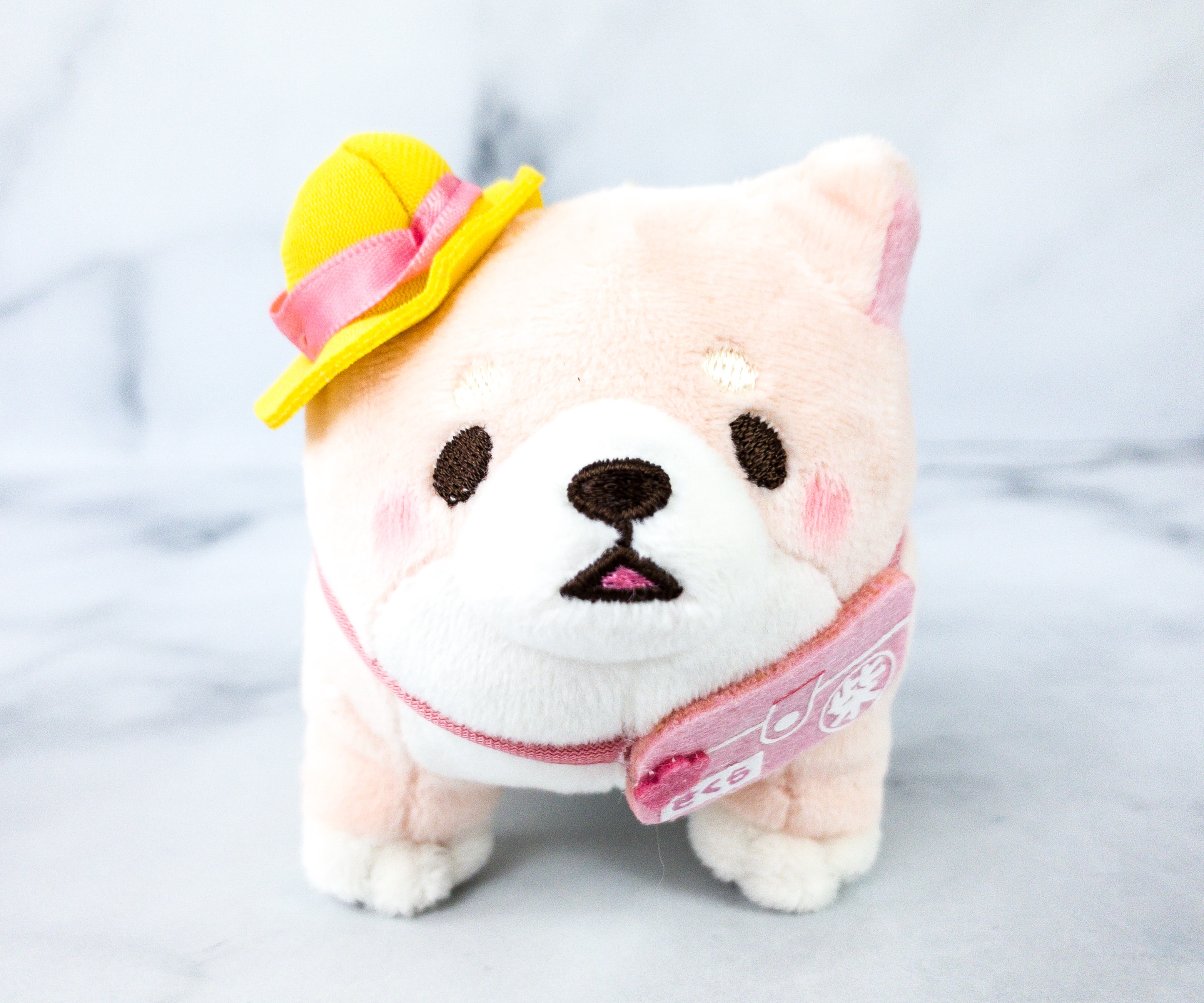 Doki Doki March 2020 Subscription Box Review & Coupon - hello subscription