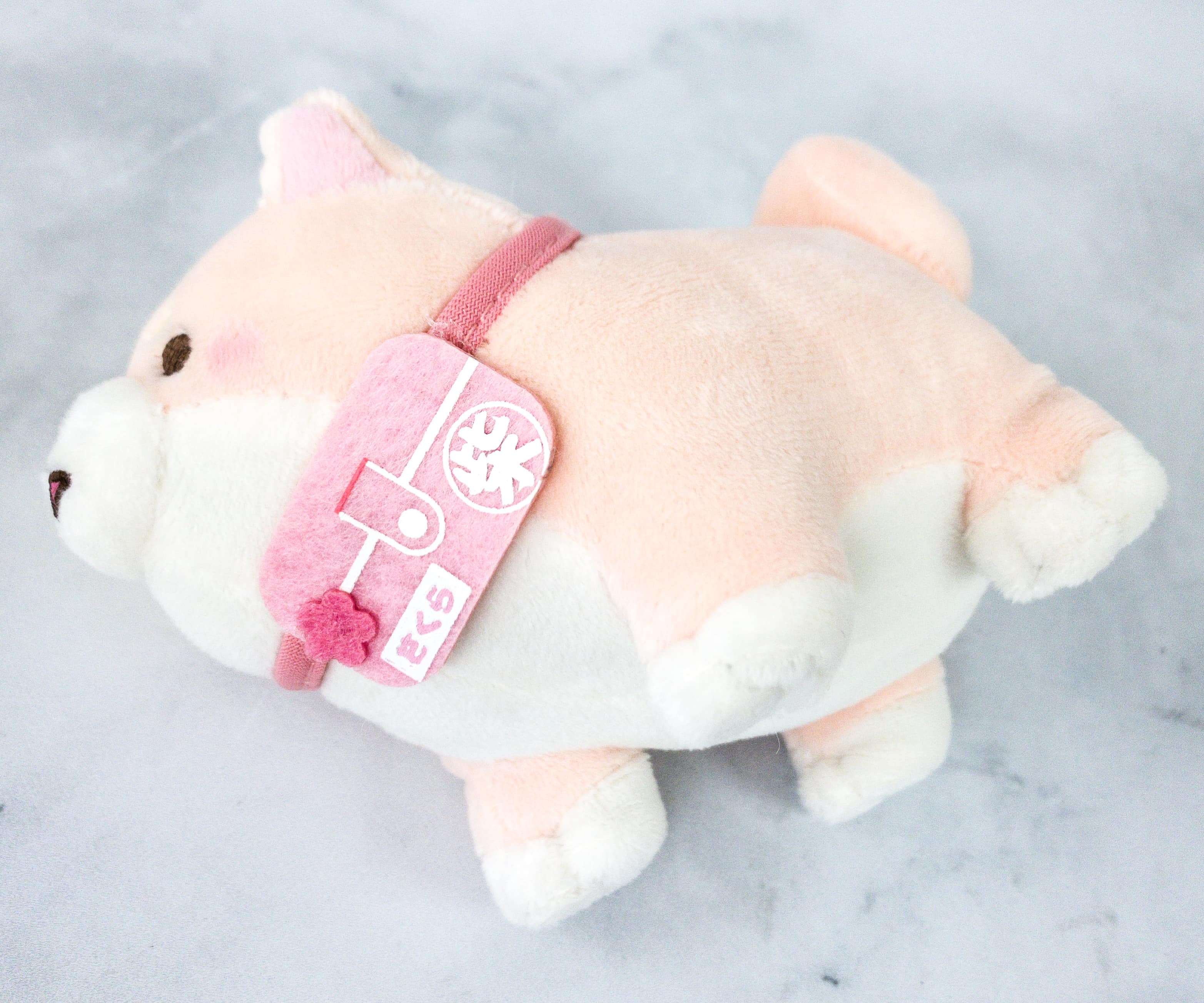 Doki Doki March 2020 Subscription Box Review & Coupon - hello subscription