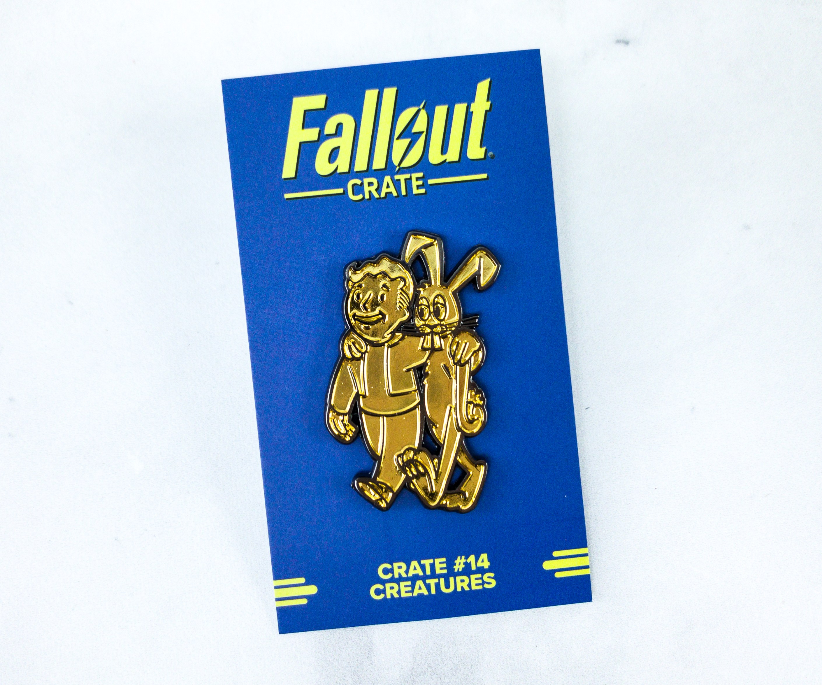 Loot Crate Fallout Crate February 2020 Review + Coupon - Hello Subscription