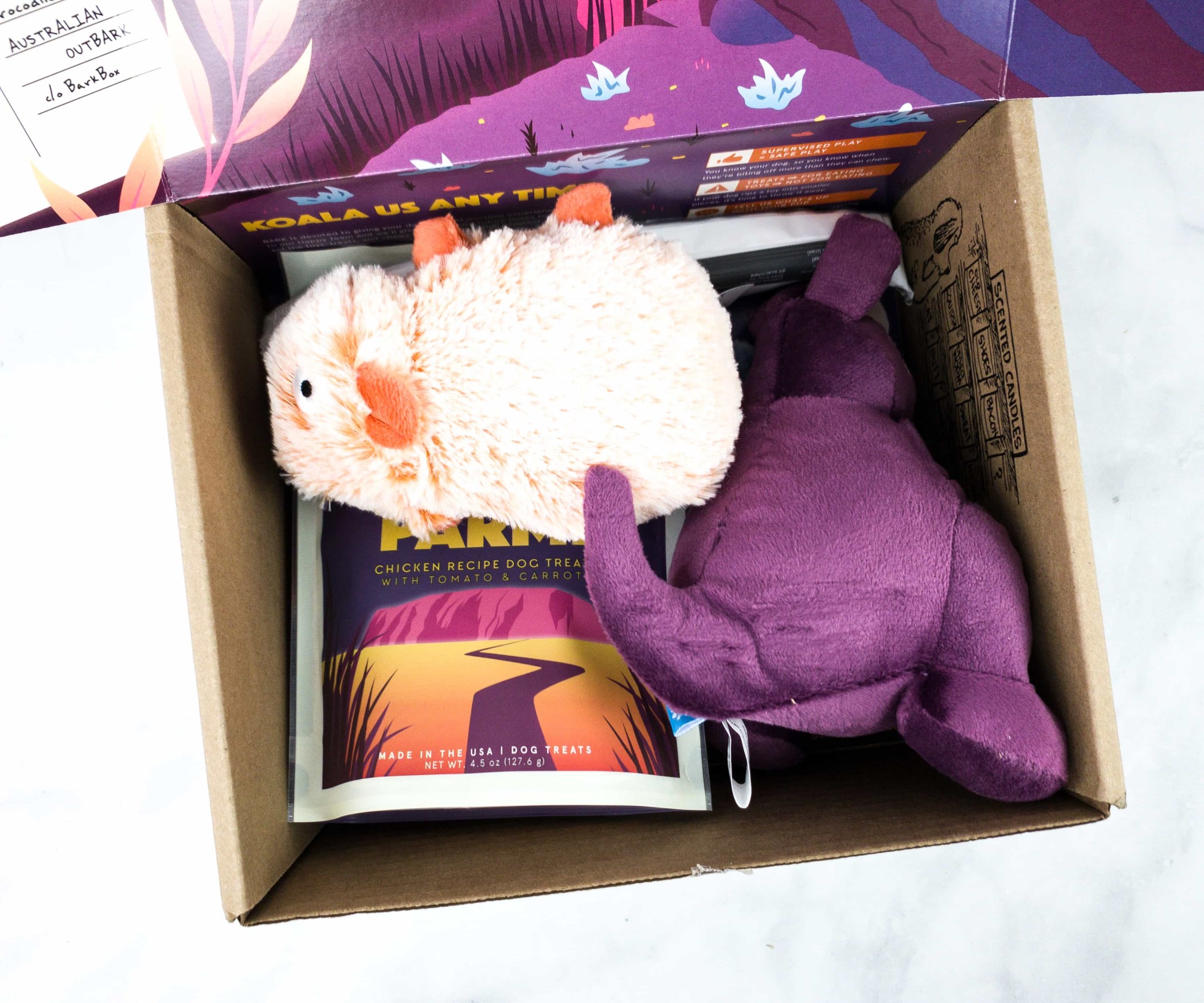 Barkbox March 2020 Subscription Box Review + Coupon - Hello Subscription