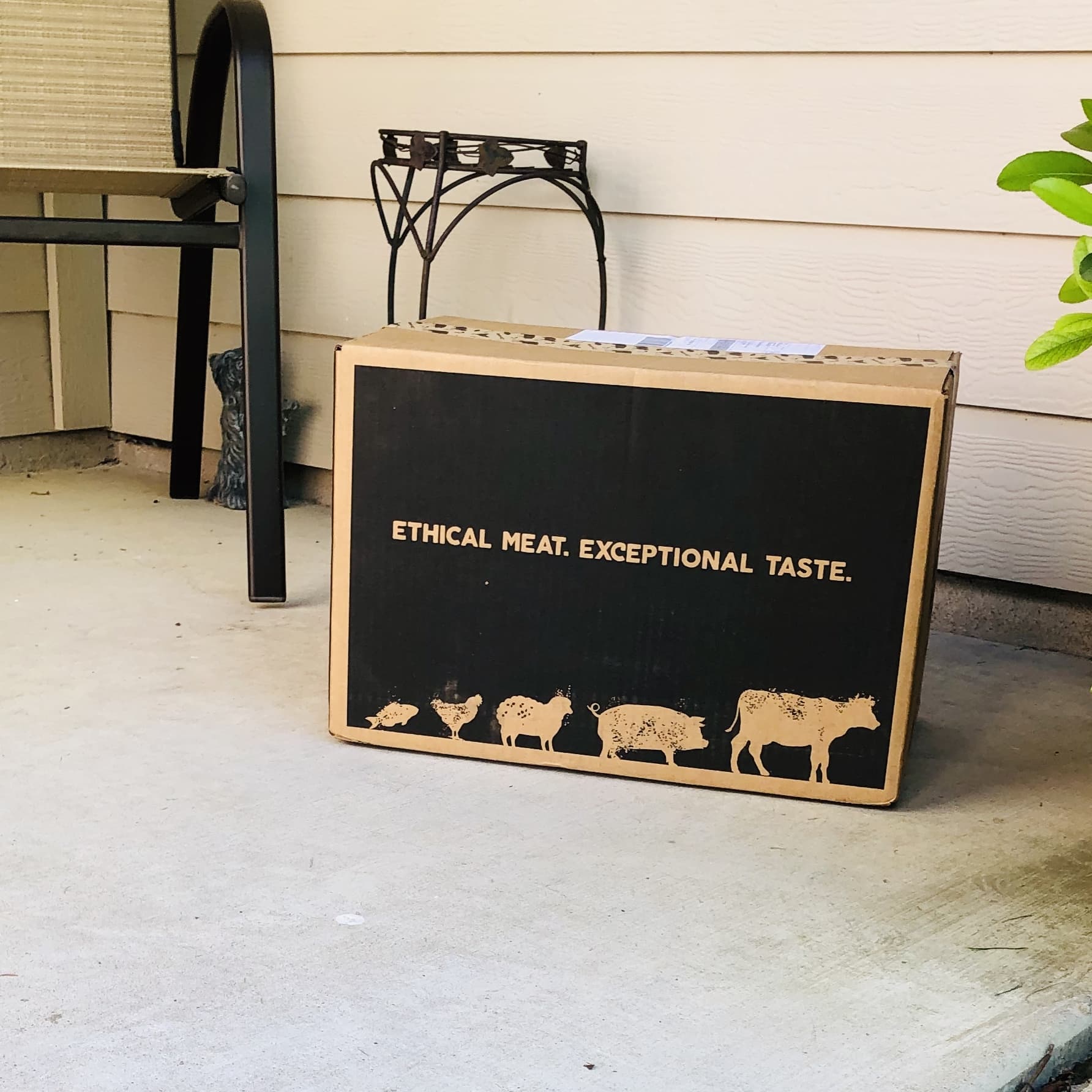 Moink March 2020 Subscription Box Review - Hello Subscription