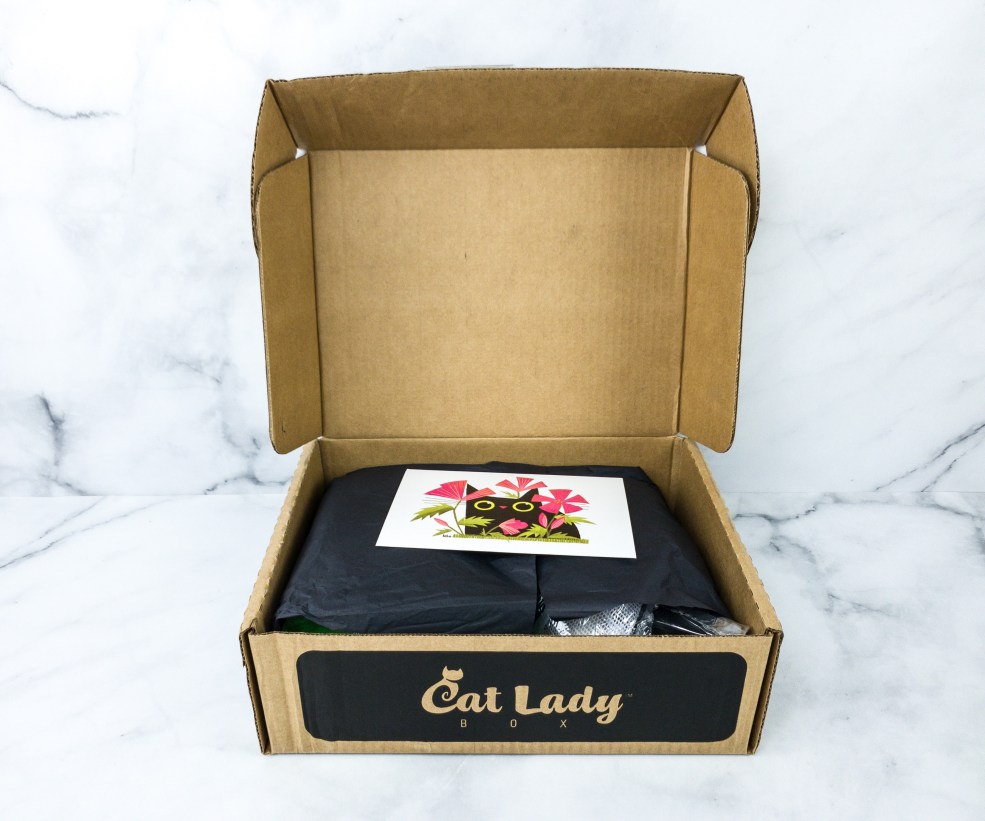 Cat Lady Box May 2020 Subscription Box Review - CAT MOM'S DAY - hello ...