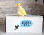 Squawk Box February 2020 Subscription Review - Hello Subscription