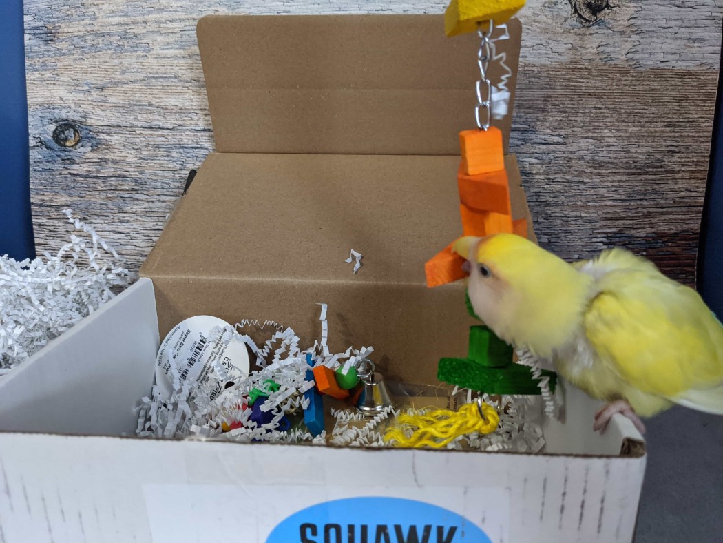 Squawk Box March 2020 Subscription Review - Hello Subscription