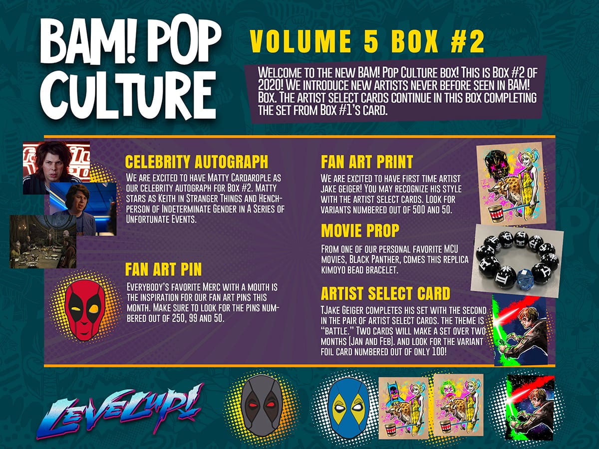 The BAM! POP CULTURE BOX February 2020 Subscription Box Review - Hello ...