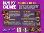 The BAM! POP CULTURE BOX March 2020 Subscription Box Review - Hello ...