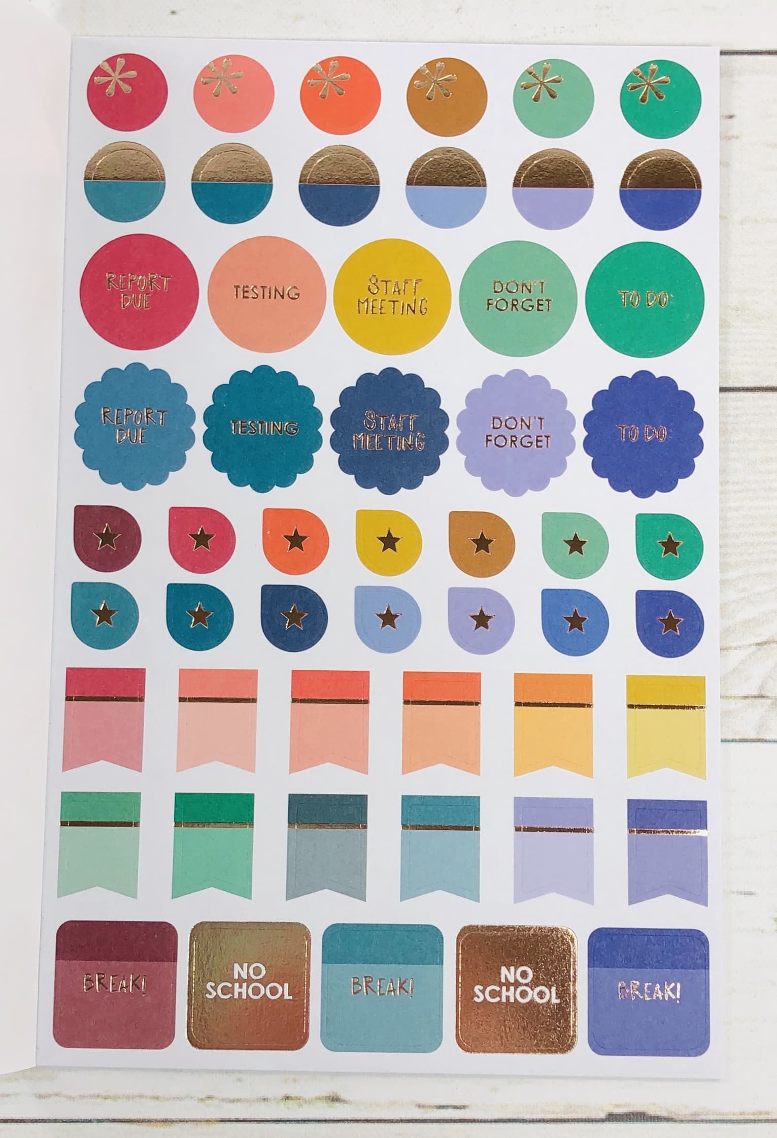 Erin Condren 2020-2021 Teacher Lesson Planner Review + Coupon - Hello ...