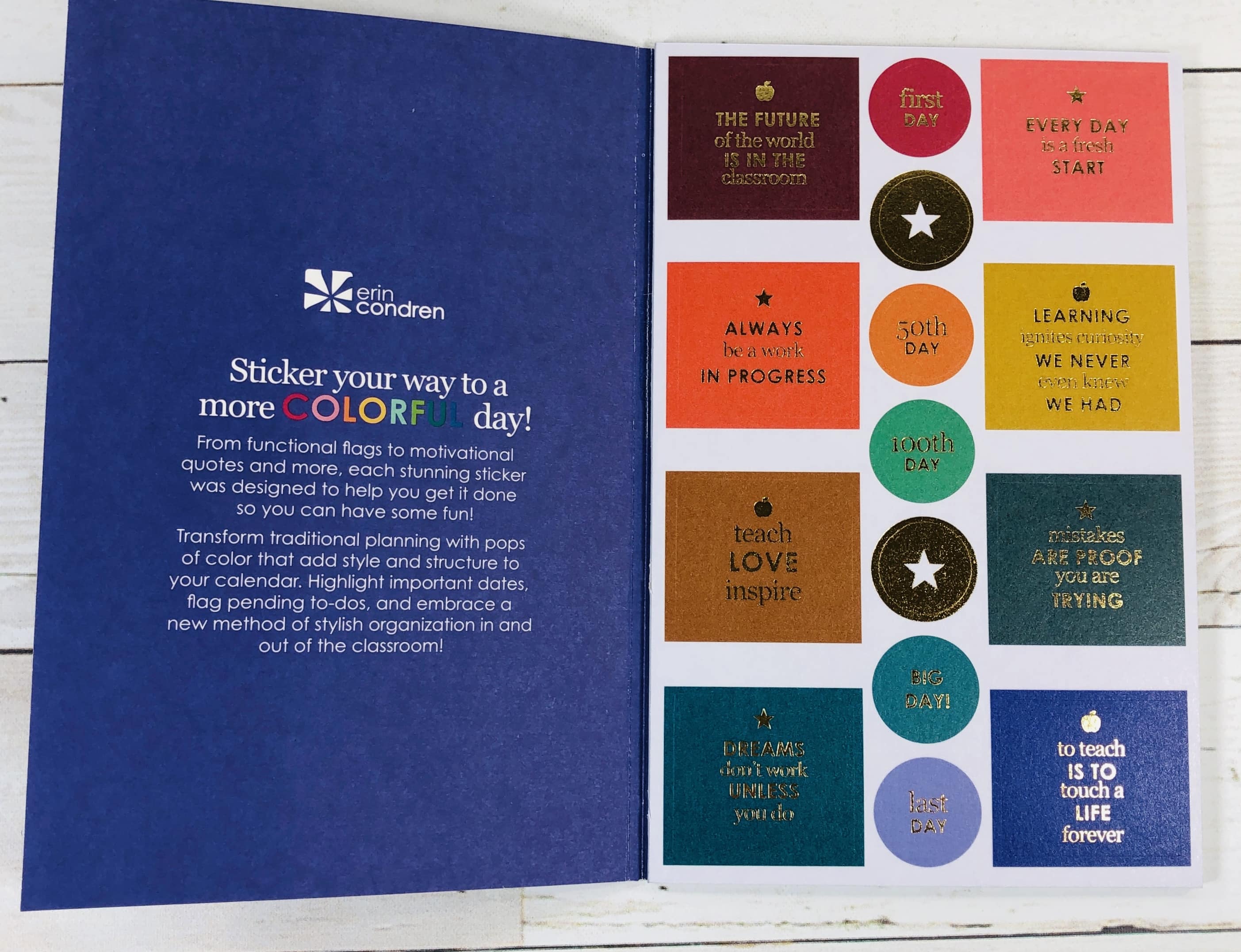 Erin Condren 2020-2021 Teacher Lesson Planner Review + Coupon - Hello ...