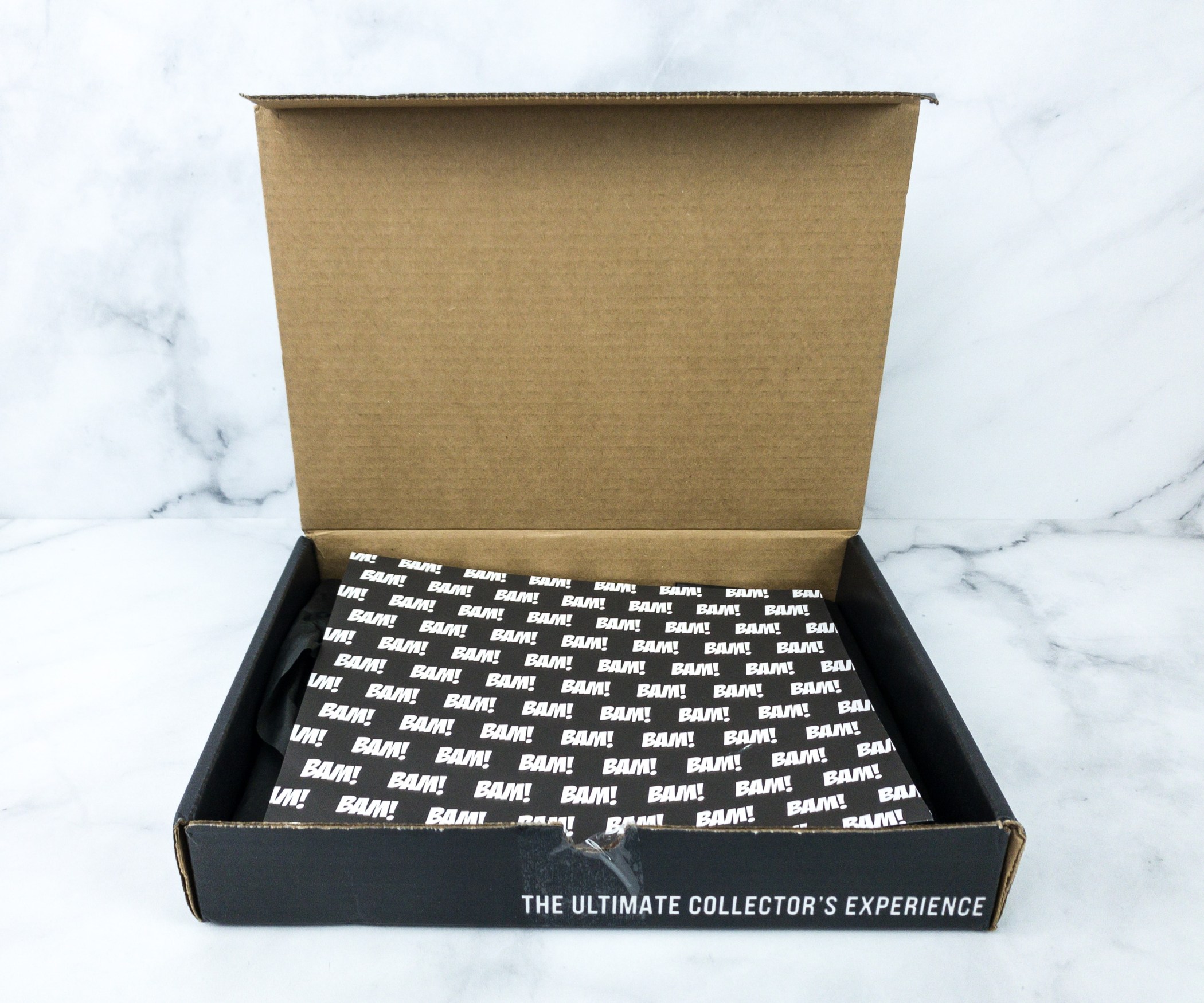 The BAM! POP CULTURE BOX March 2020 Subscription Box Review - Hello ...