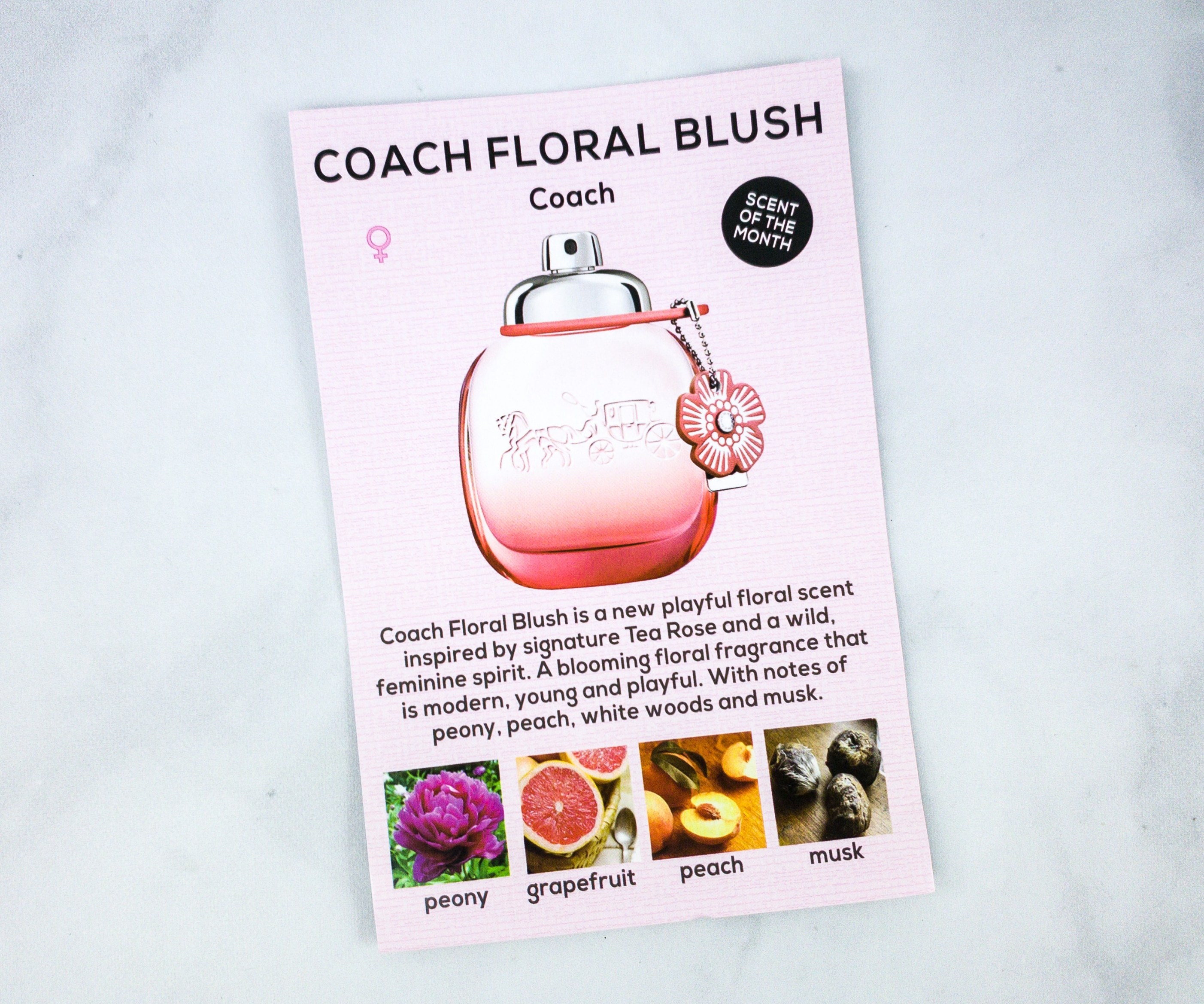 Scent Box April 2020 Subscription Box Review + 50% Off Coupon! - Hello ...