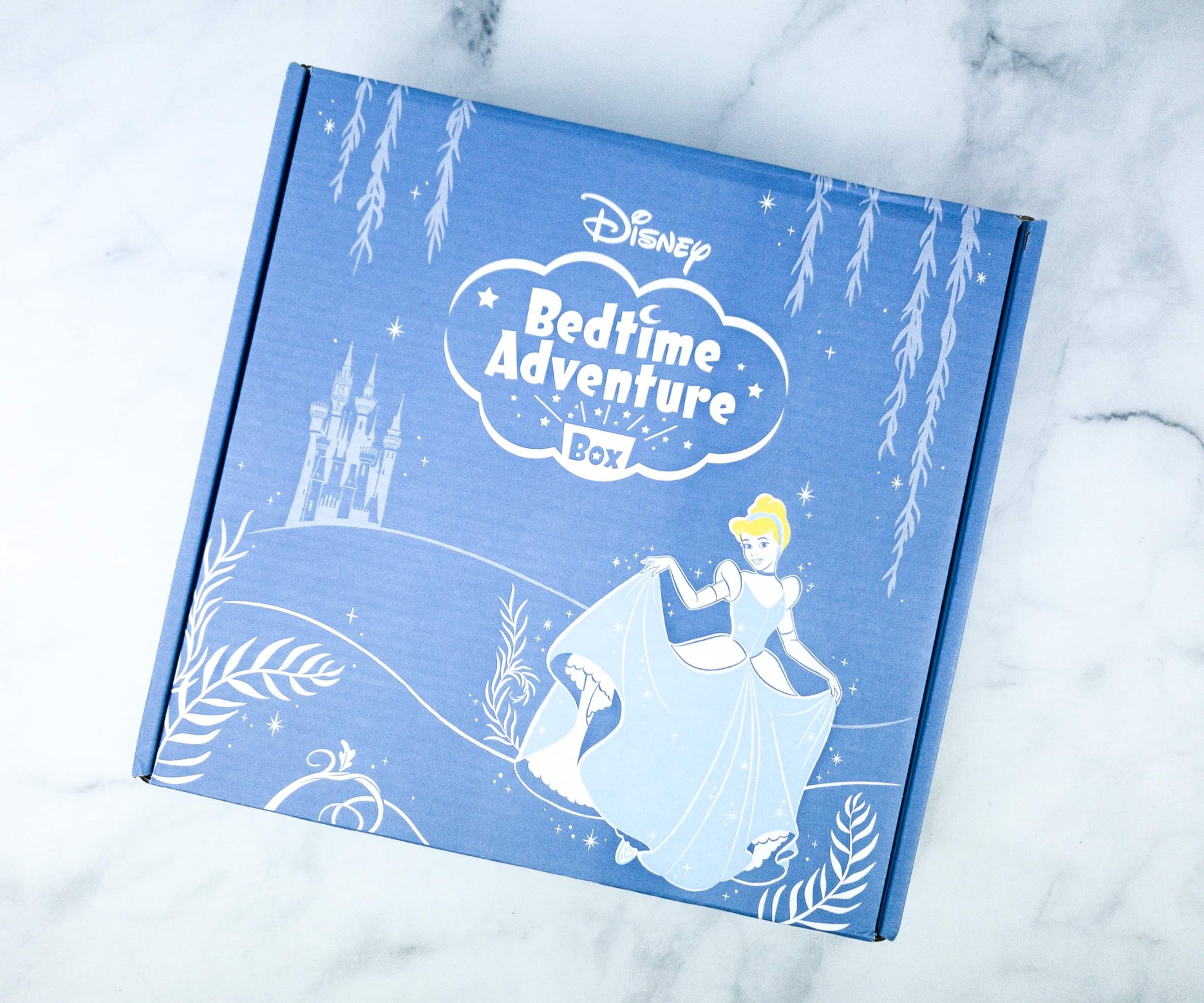 Disney Bedtime Adventure Subscription Box Review - March 2020 ...