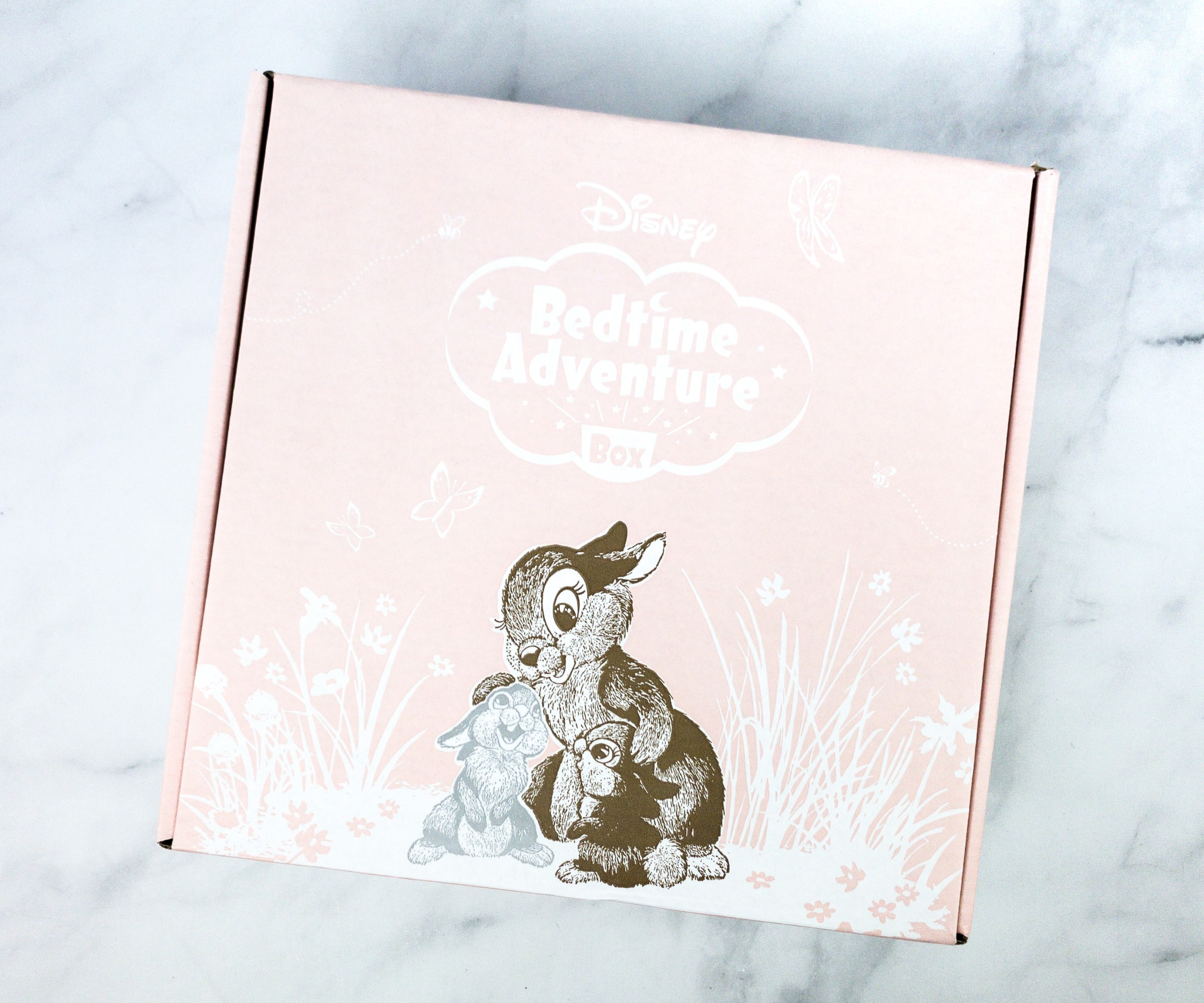 Disney Bedtime Adventure Subscription Box Review - April 2020 - Hello ...