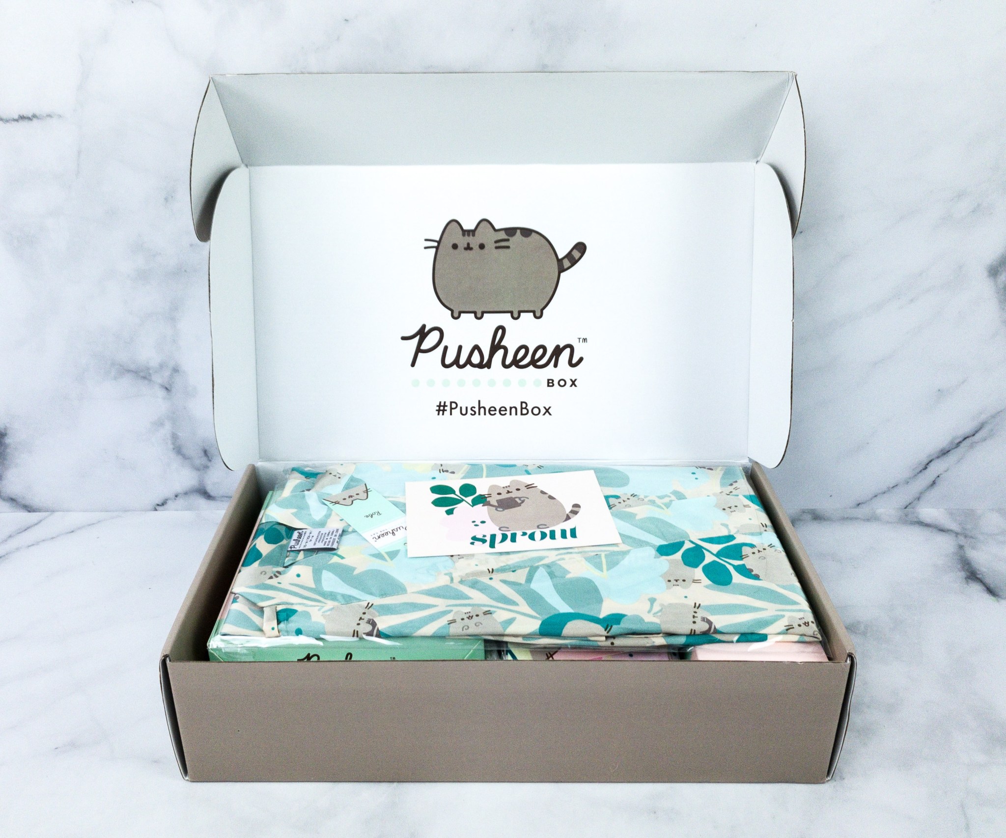 Pusheen Box Review - Spring 2020 - Hello Subscription