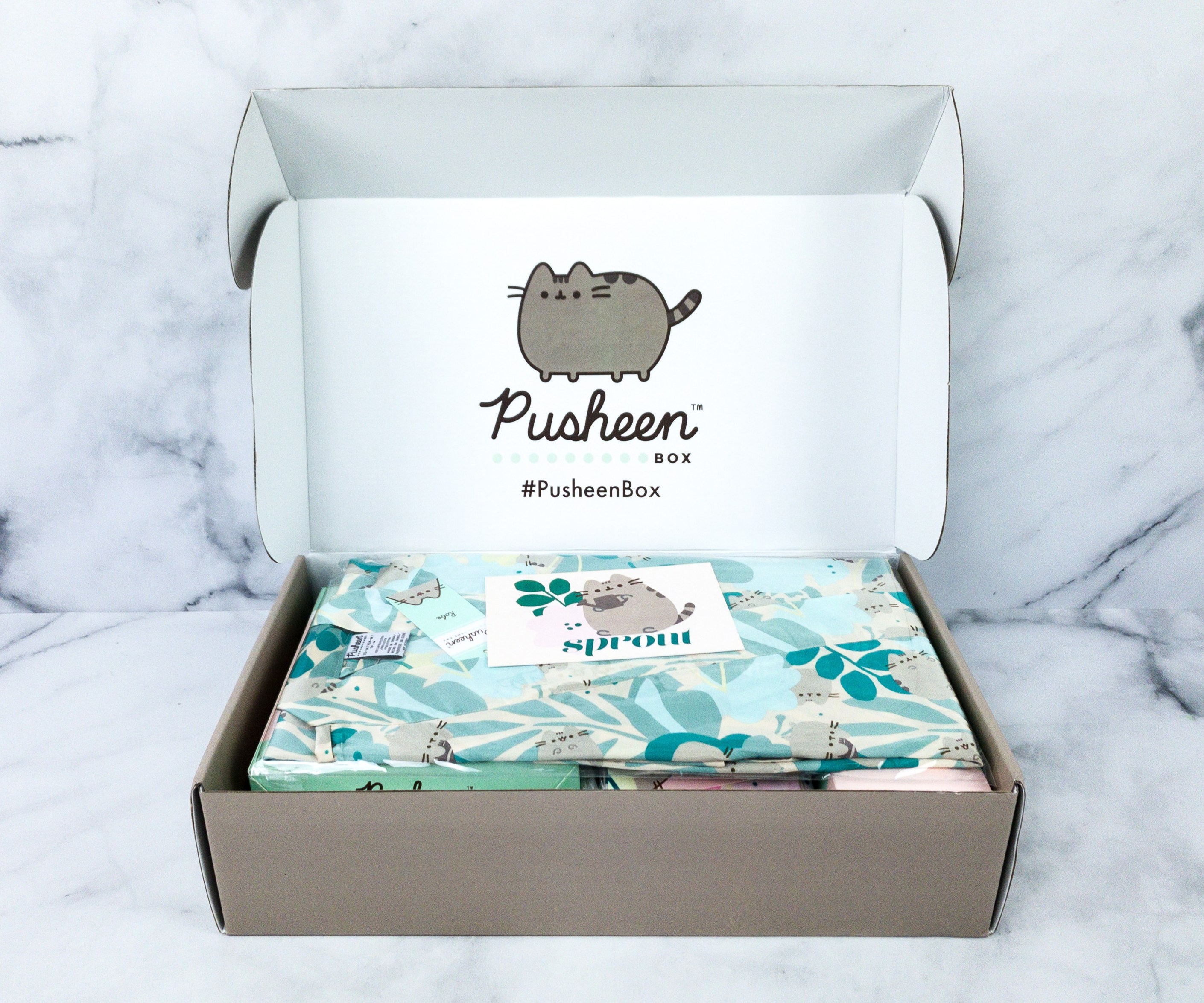 Pusheen Box Review - Spring 2020 - Hello Subscription