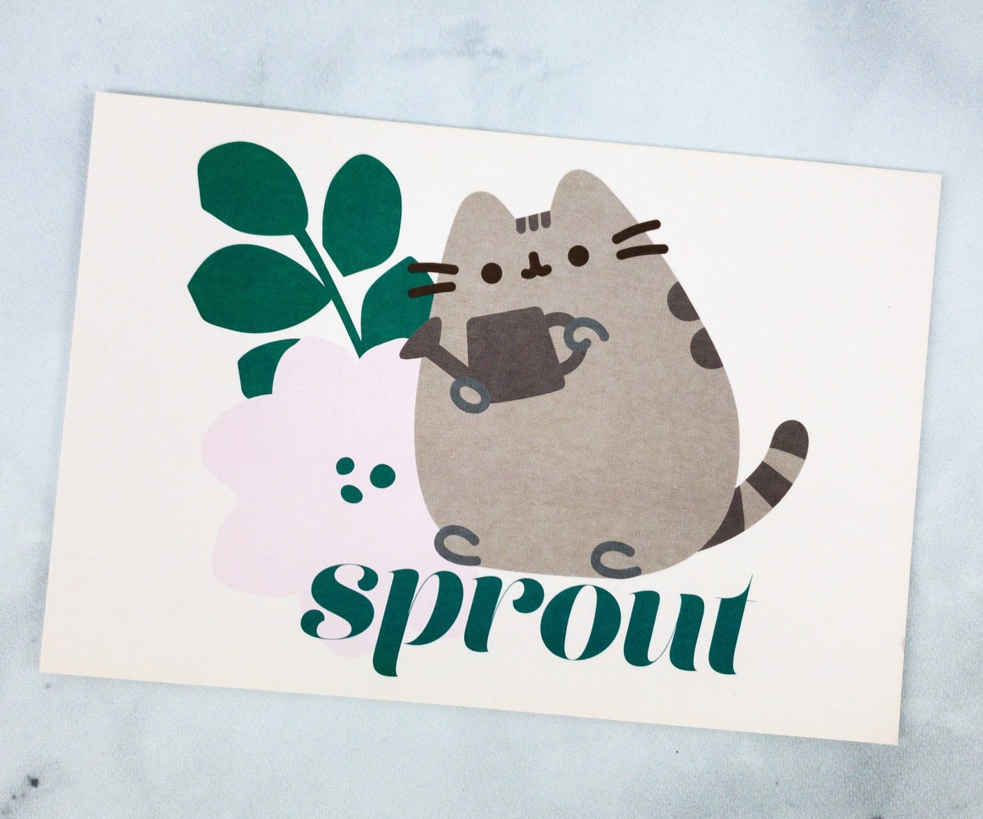 Pusheen Box Review - Spring 2020 - Hello Subscription