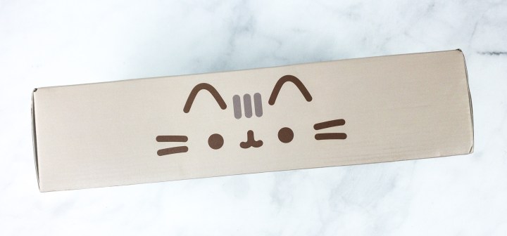 Pusheen Box Review - Spring 2020 - Hello Subscription