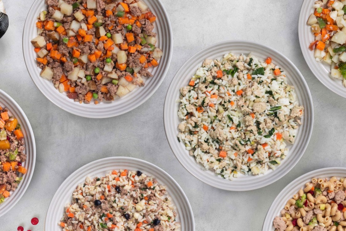 The 11 Best Dog Food Subscriptions for 2026: Customized Dog Meals ...