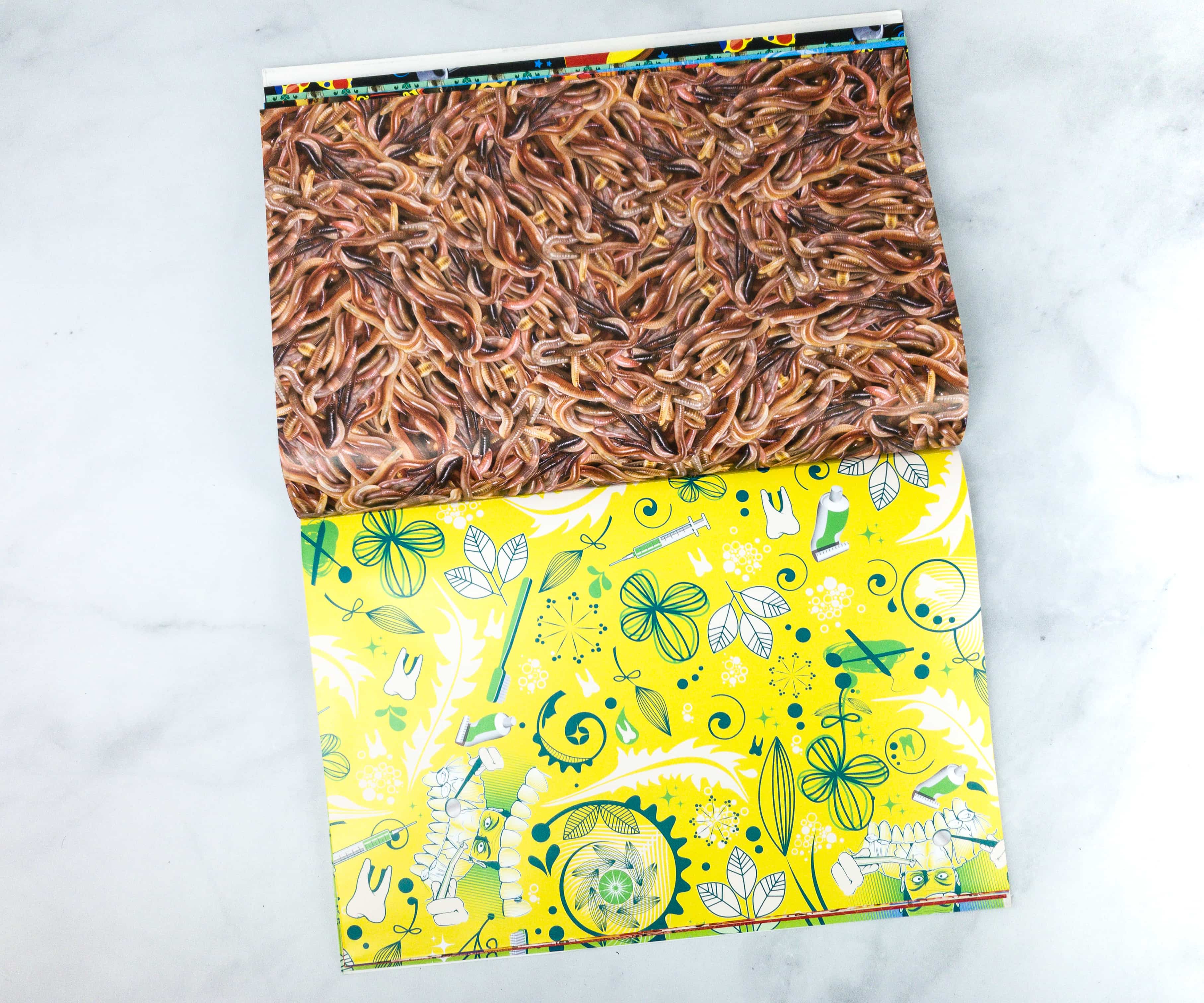 Stay Regular Monthly Mystery Box May 2020 Subscription Box Review ...