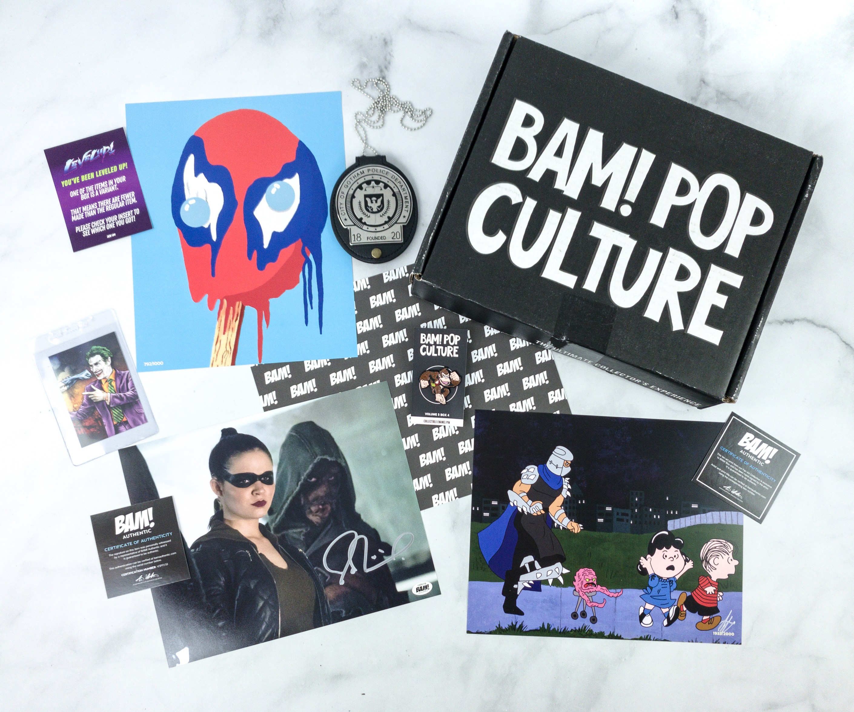 The BAM! Geek Box Reviews: Get All The Details At Hello Subscription!