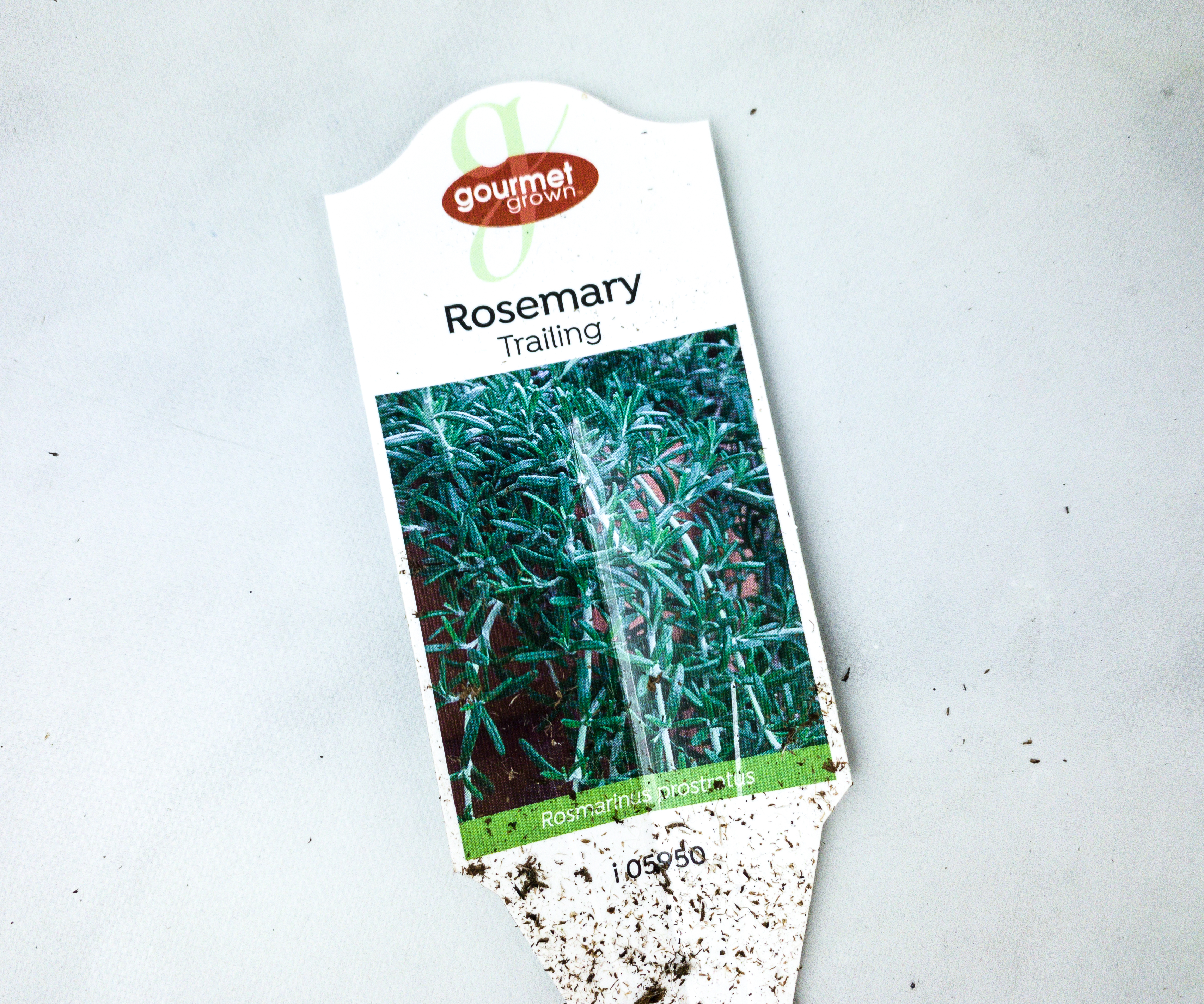 House Plant Box Review - Hello Subscription