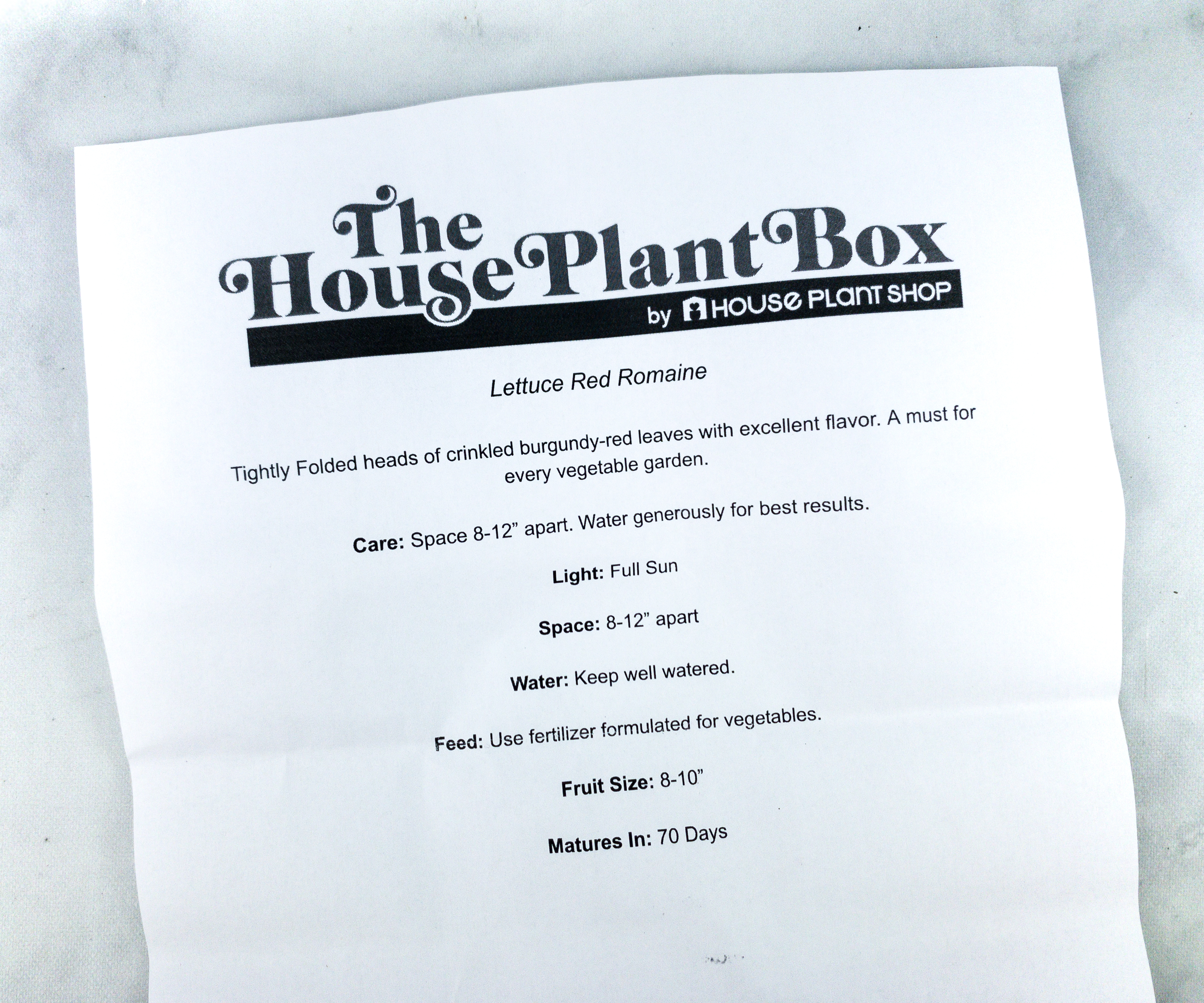 House Plant Box June 2020 Subscription Box Review - Hello Subscription