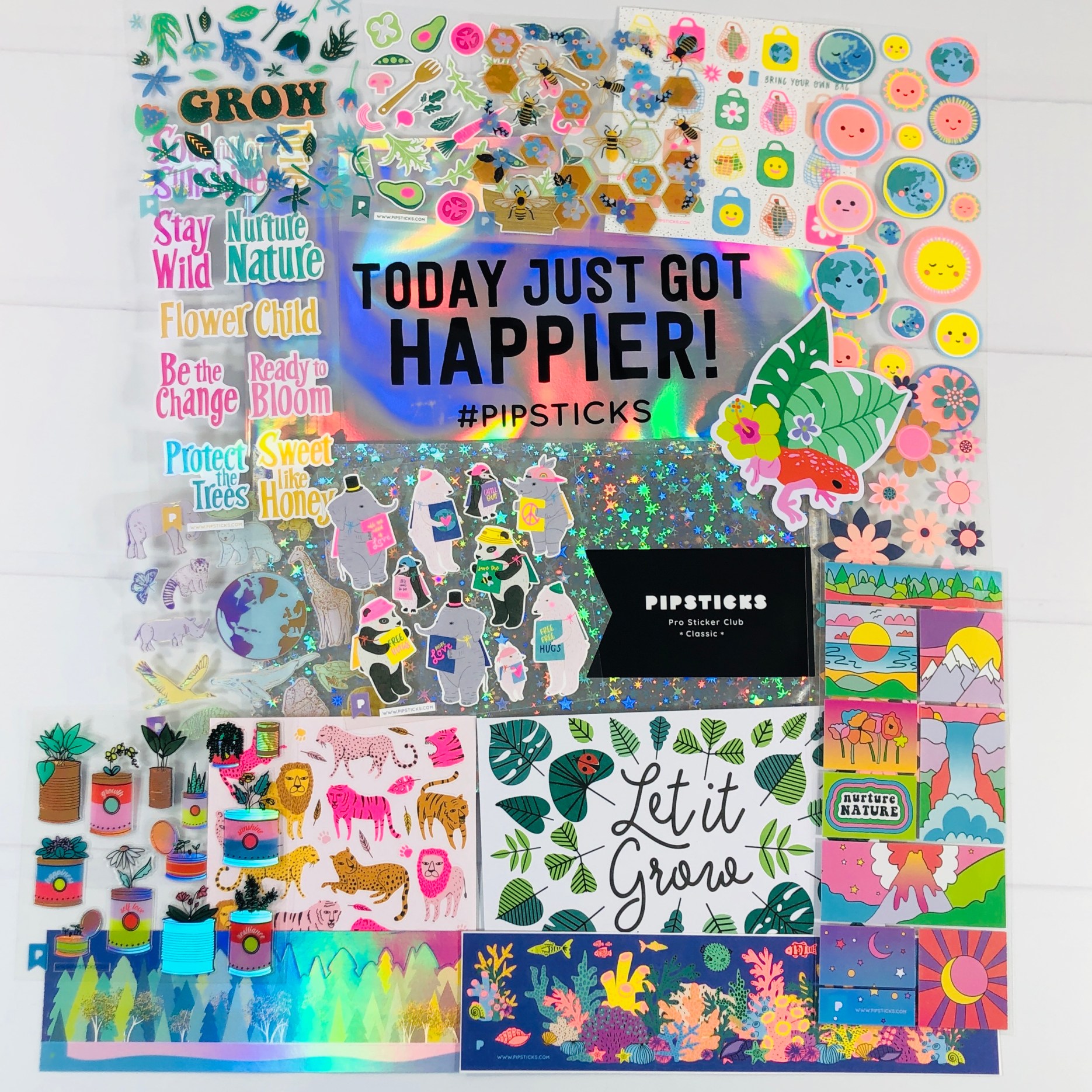 Pipsticks Reviews: Get All The Details At Hello Subscription!