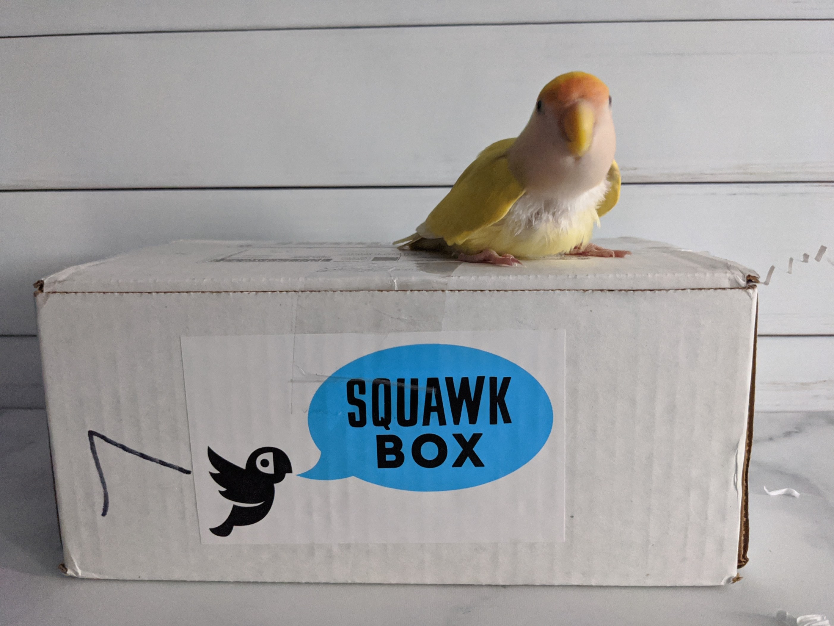 Squawk Box July 2020 Subscription Review - Hello Subscription