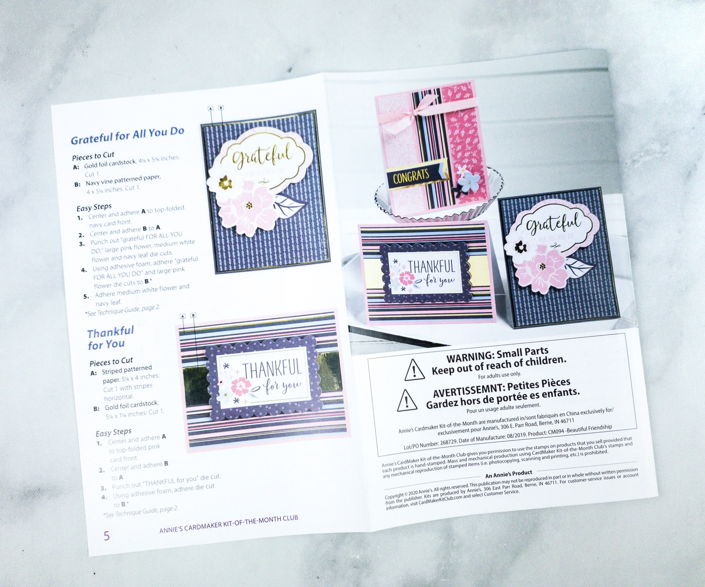 Annie's CardMaker Kit-of-the-Month Club Review + Coupon - Hello ...