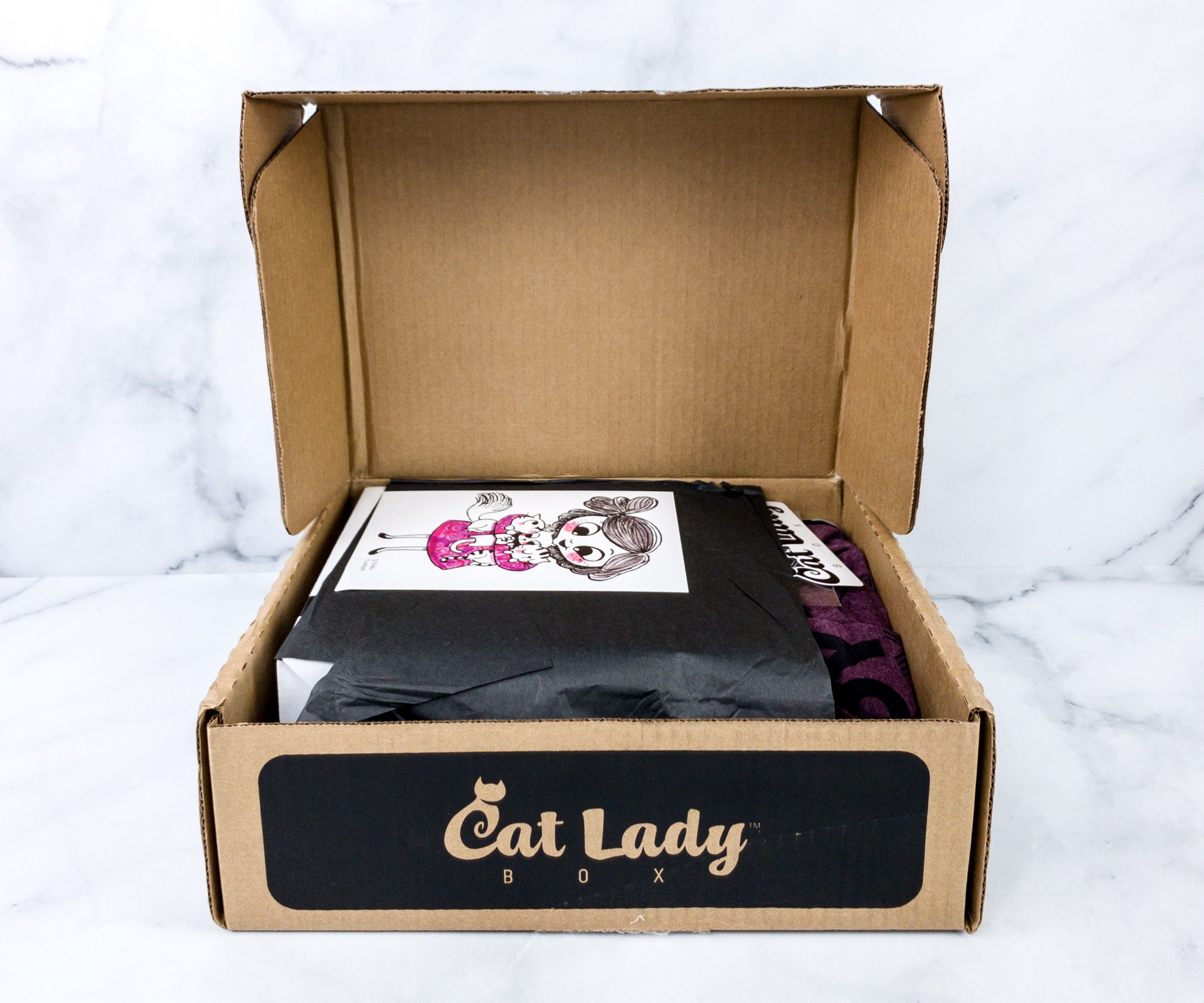 Cat Lady Box August 2020 Subscription Box Review - CAT LADY LIFE ...