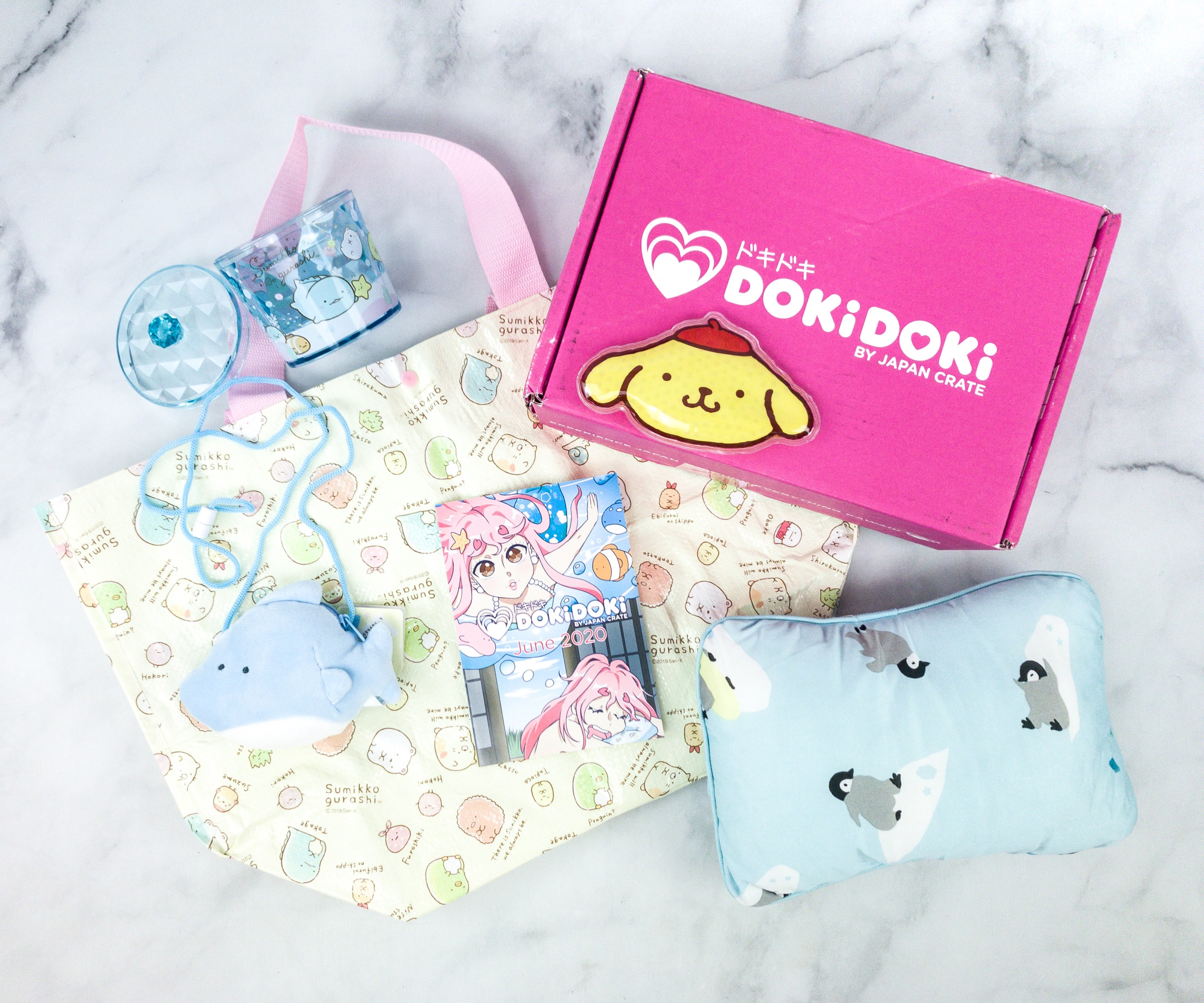 Doki Doki June 2020 Subscription Box Review & Coupon - Hello Subscription