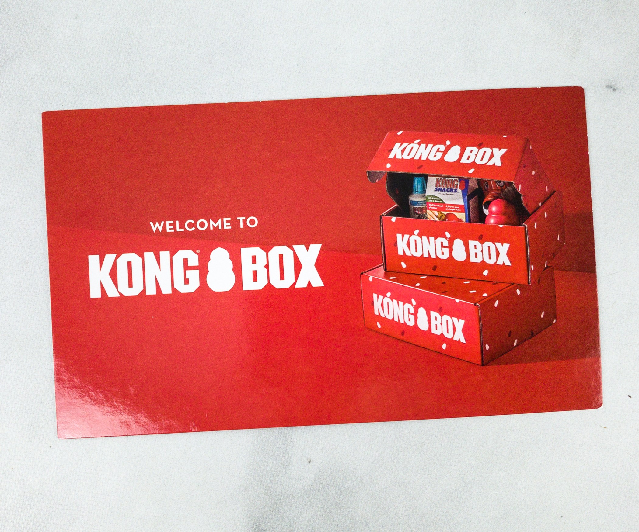 Kong Club August 2020 Subscription Box Review + Coupon! - Hello ...