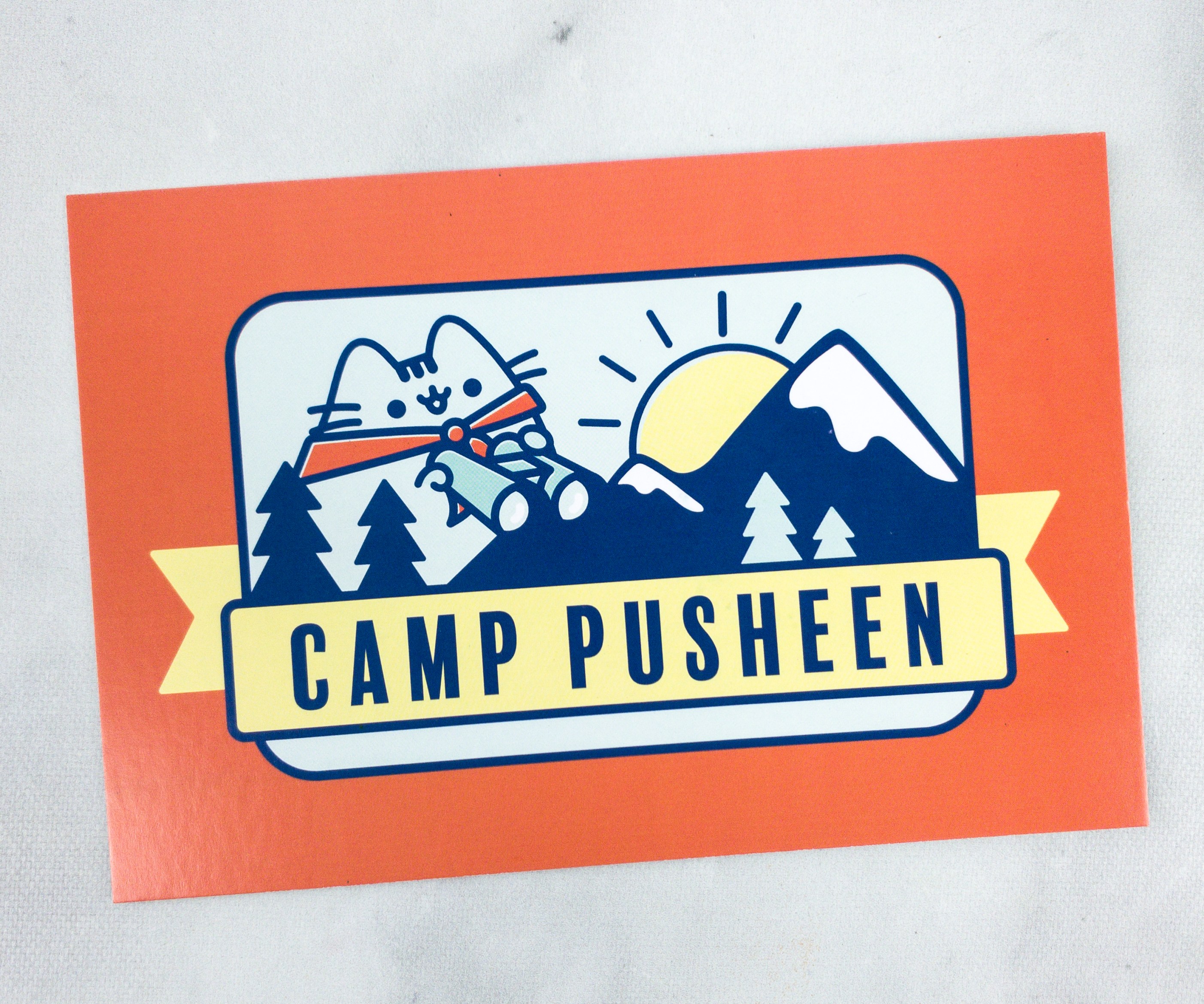 Pusheen Box Review - Summer 2020 - Hello Subscription