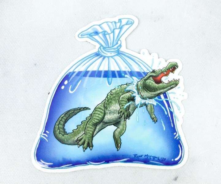 Sticker Savages August 2020 Subscription Box Review + Coupon - hello ...