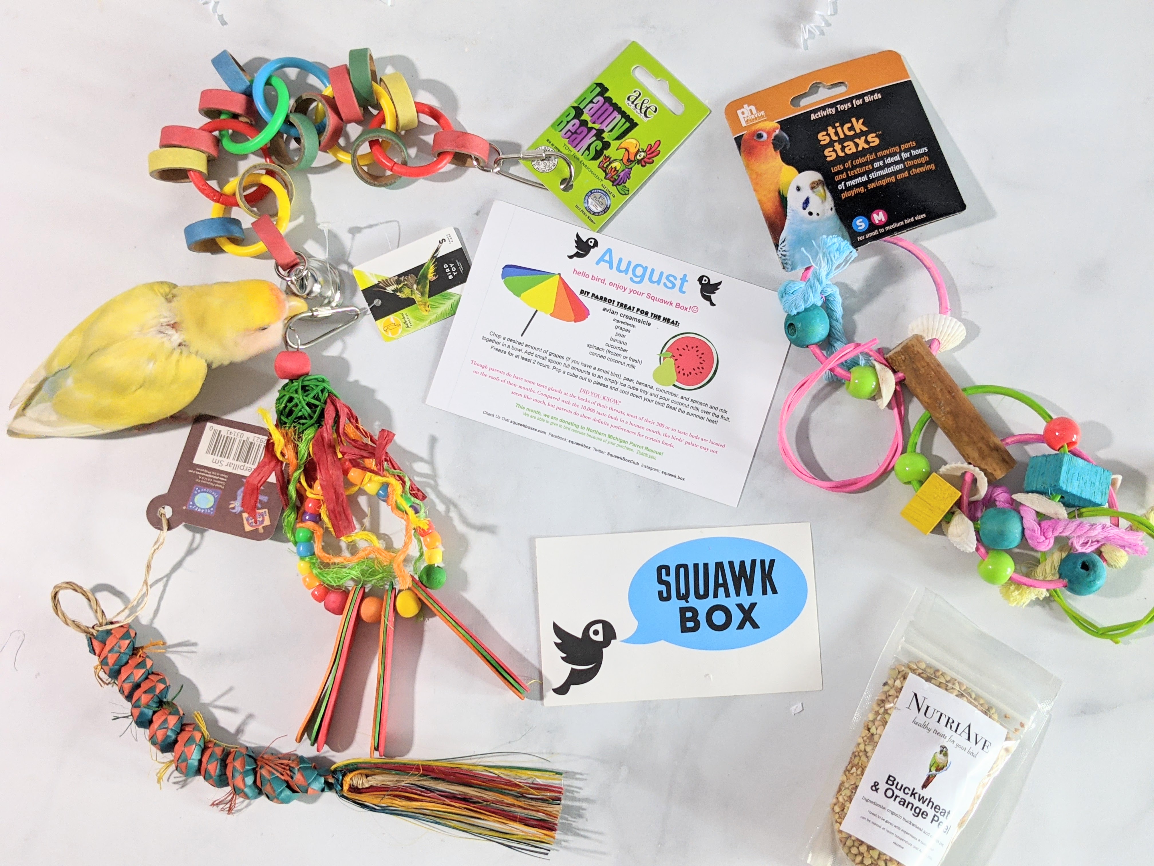 Squawk Box August 2020 Subscription Review - Hello Subscription