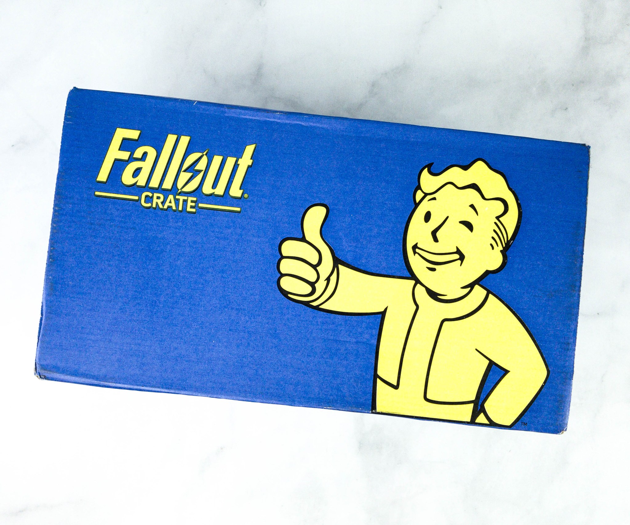 Loot Crate Fallout Crate August 2020 Review + Coupon - Hello Subscription