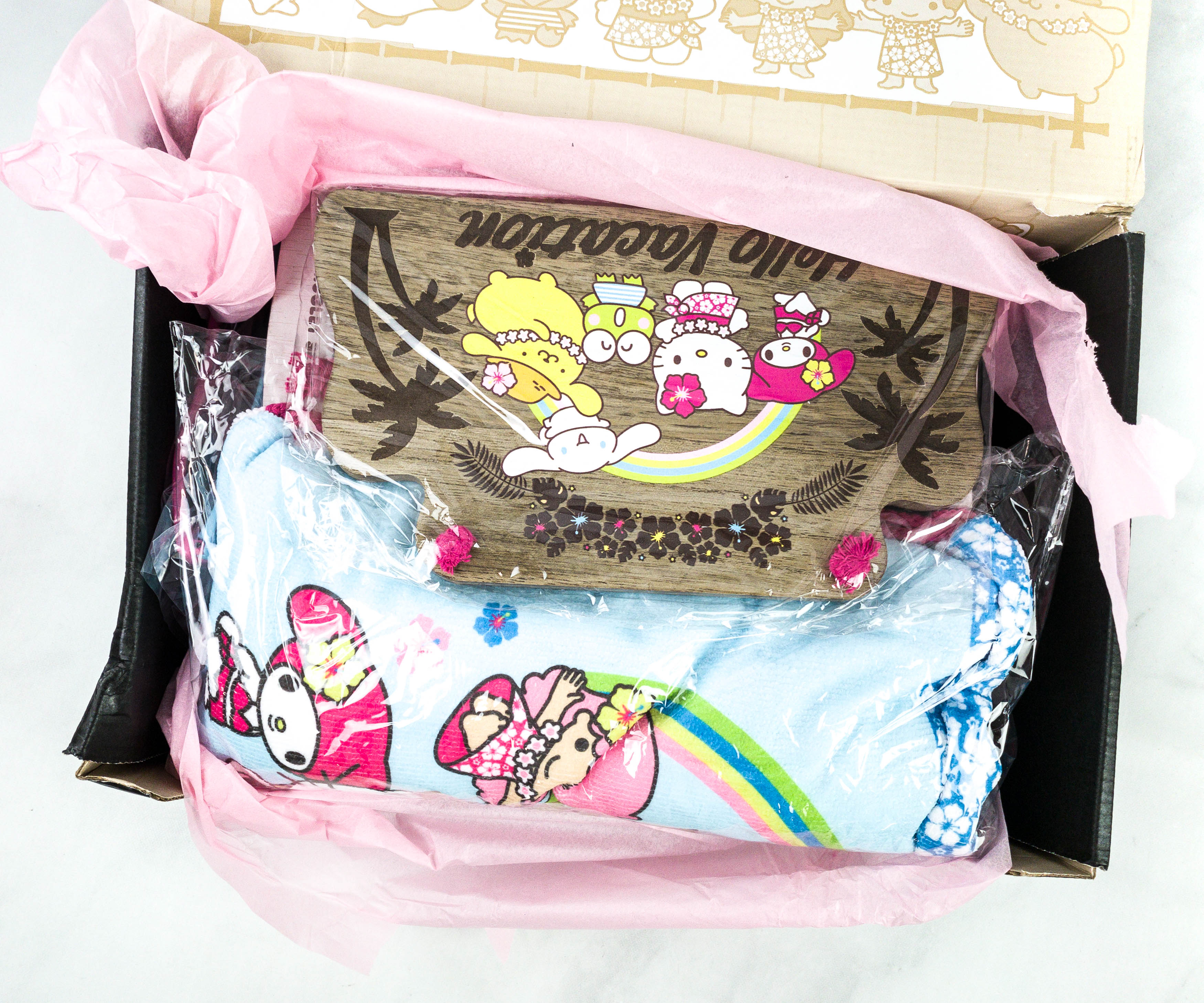 Hello Kitty and Friends August 2020 Subscription Box Review + Coupon ...