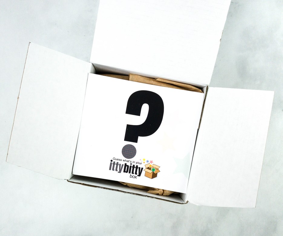 Itty Bitty Box December 2020 Subscription Box Review - Hello Subscription