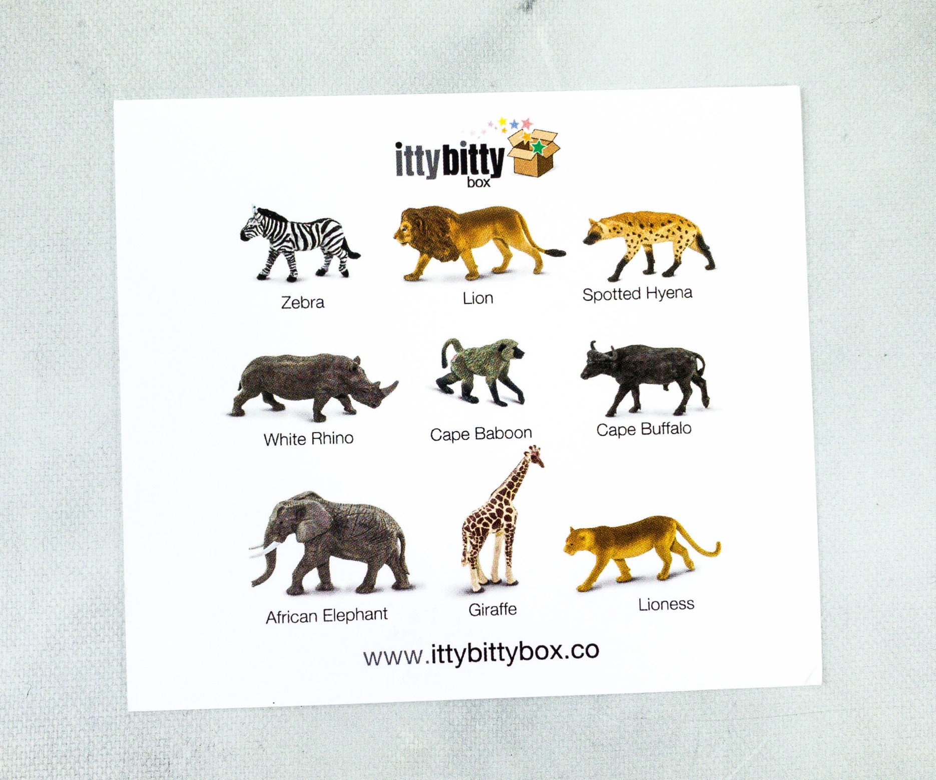 Itty Bitty Box December 2020 Subscription Box Review - Hello Subscription